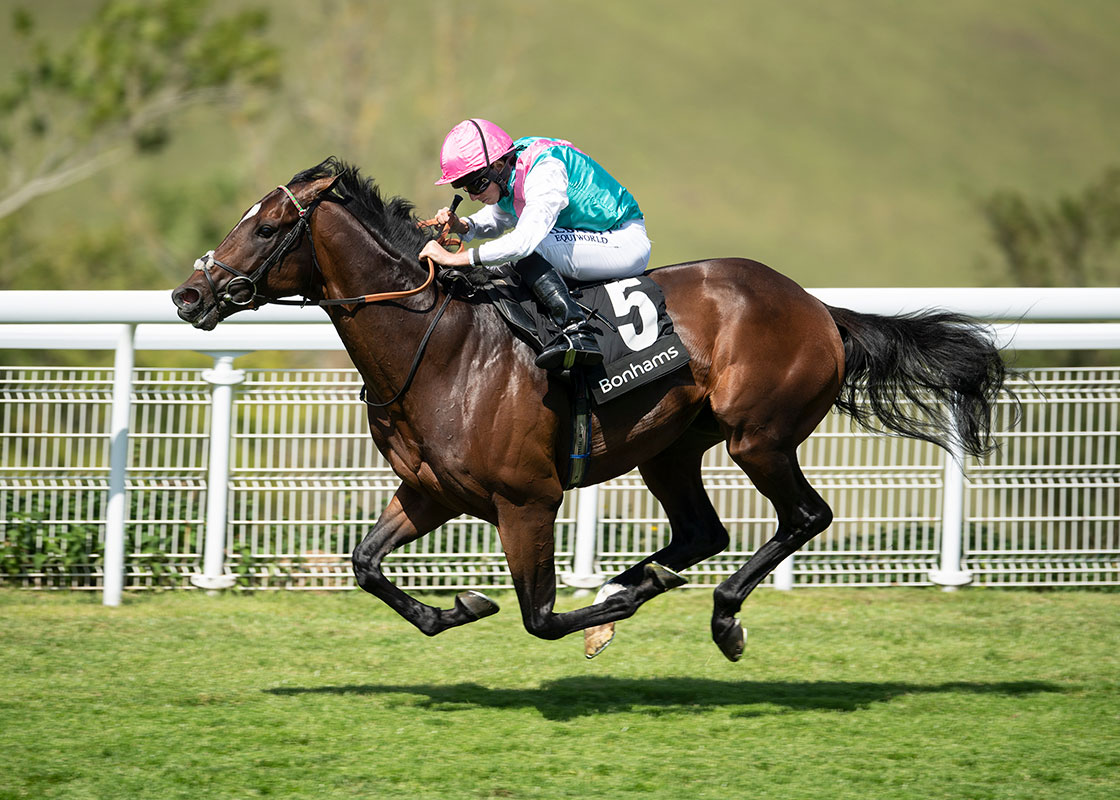 Group 2 success for Tilsit - Racing