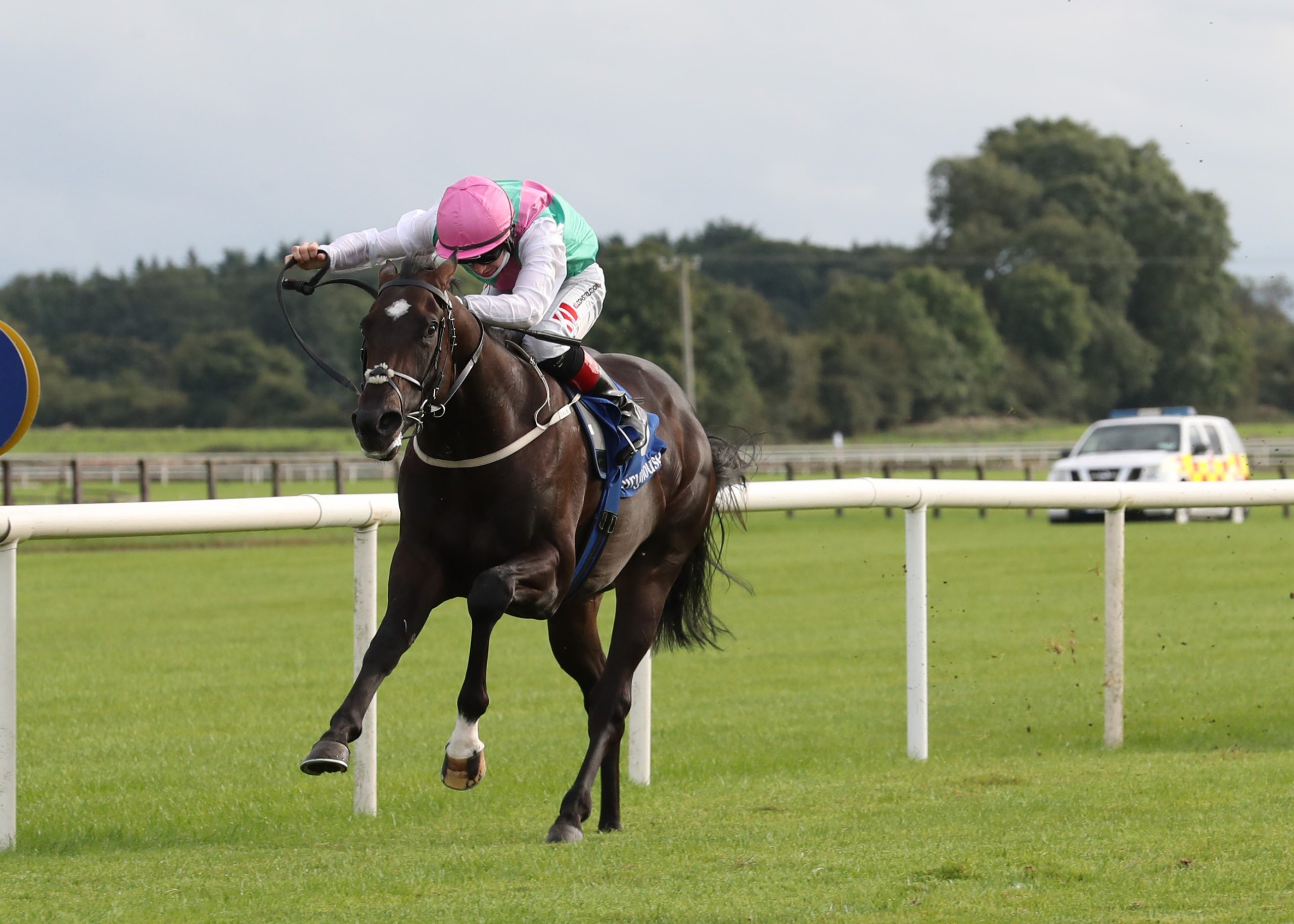 Straight Answer - Racing