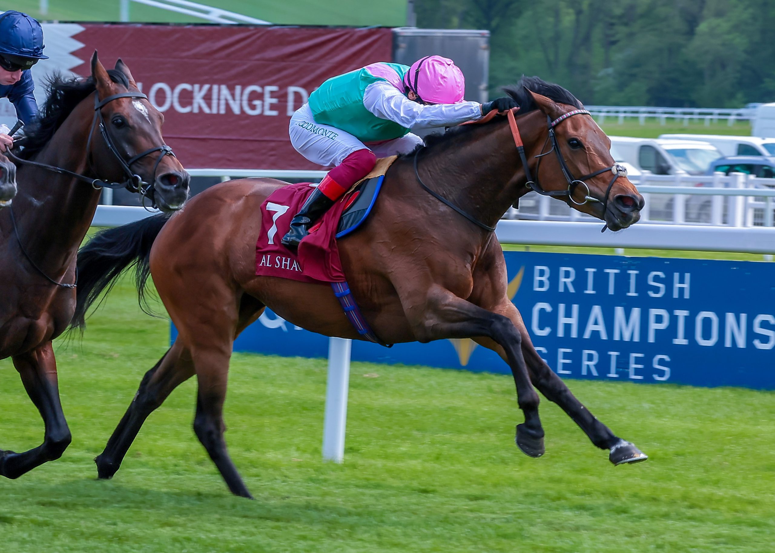 Haskoy retired after sustaining tendon injury - Racing