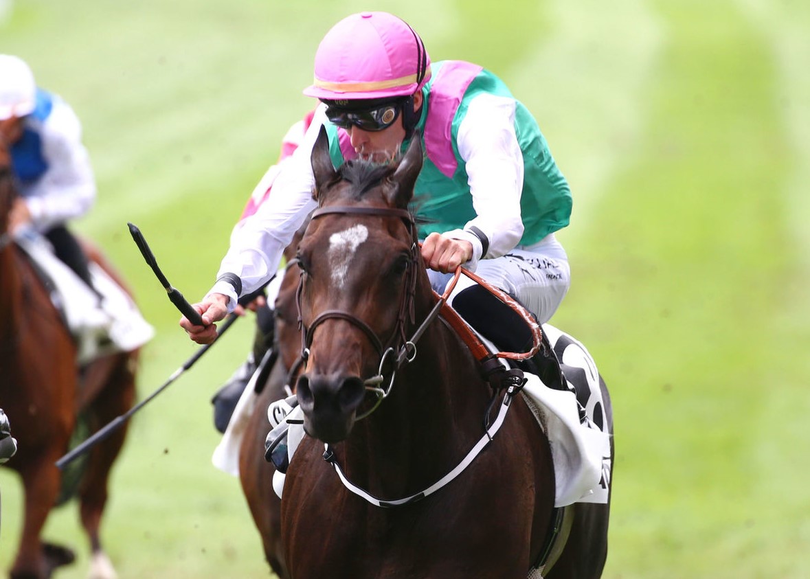 Elegant Verse - Racing