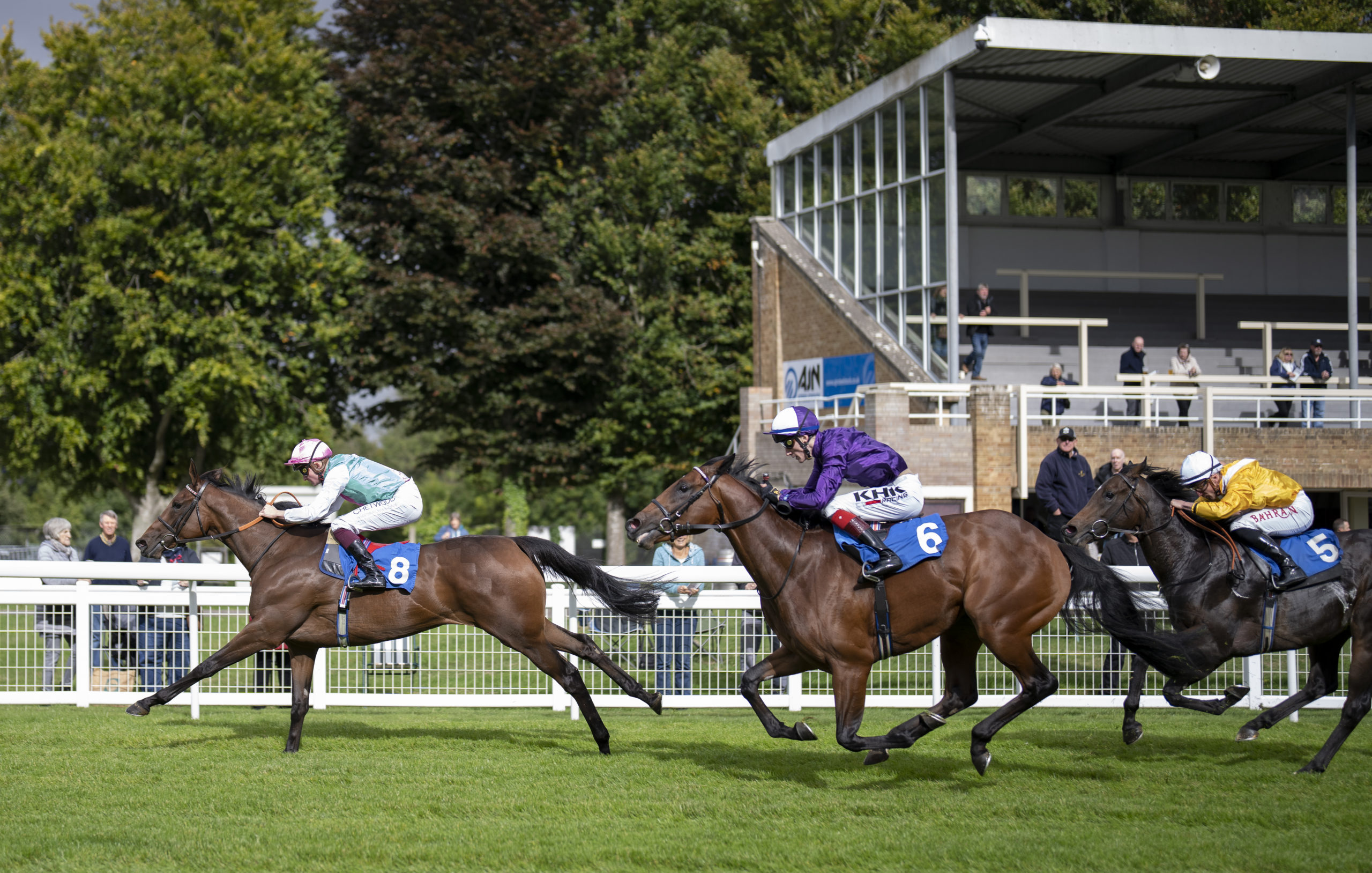 Bluestocking A New Rising Star At Salisbury - Racing