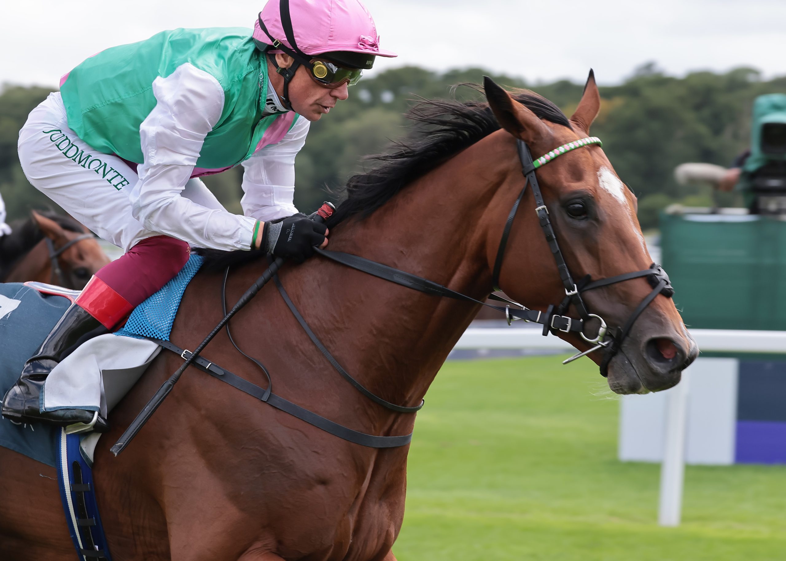 Arrest steals the show in the Geoffrey Freer Stakes - Racing