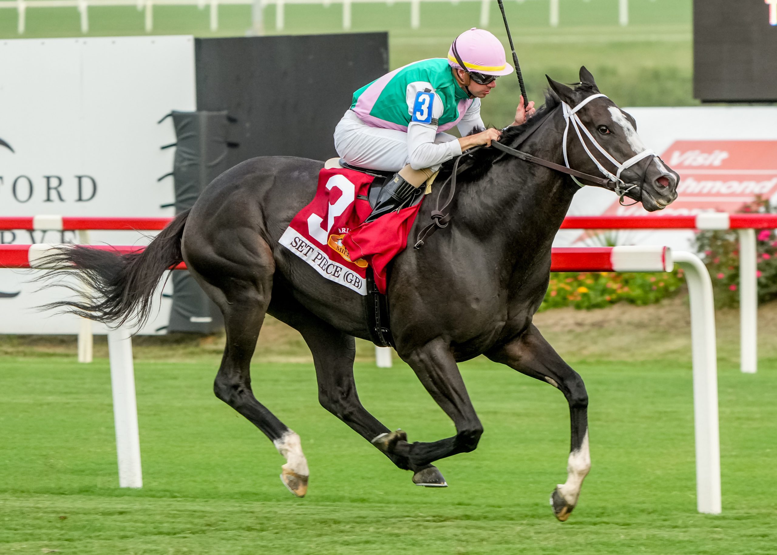 Set Piece wins the Gr.1 Arlington Million - Racing