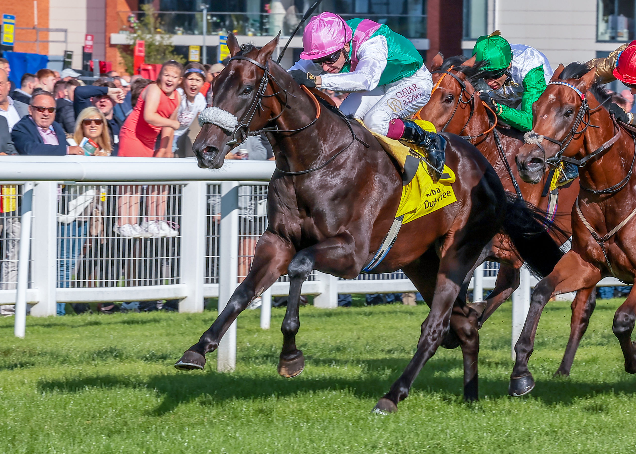 Mill Reef Stakes for Array - Racing