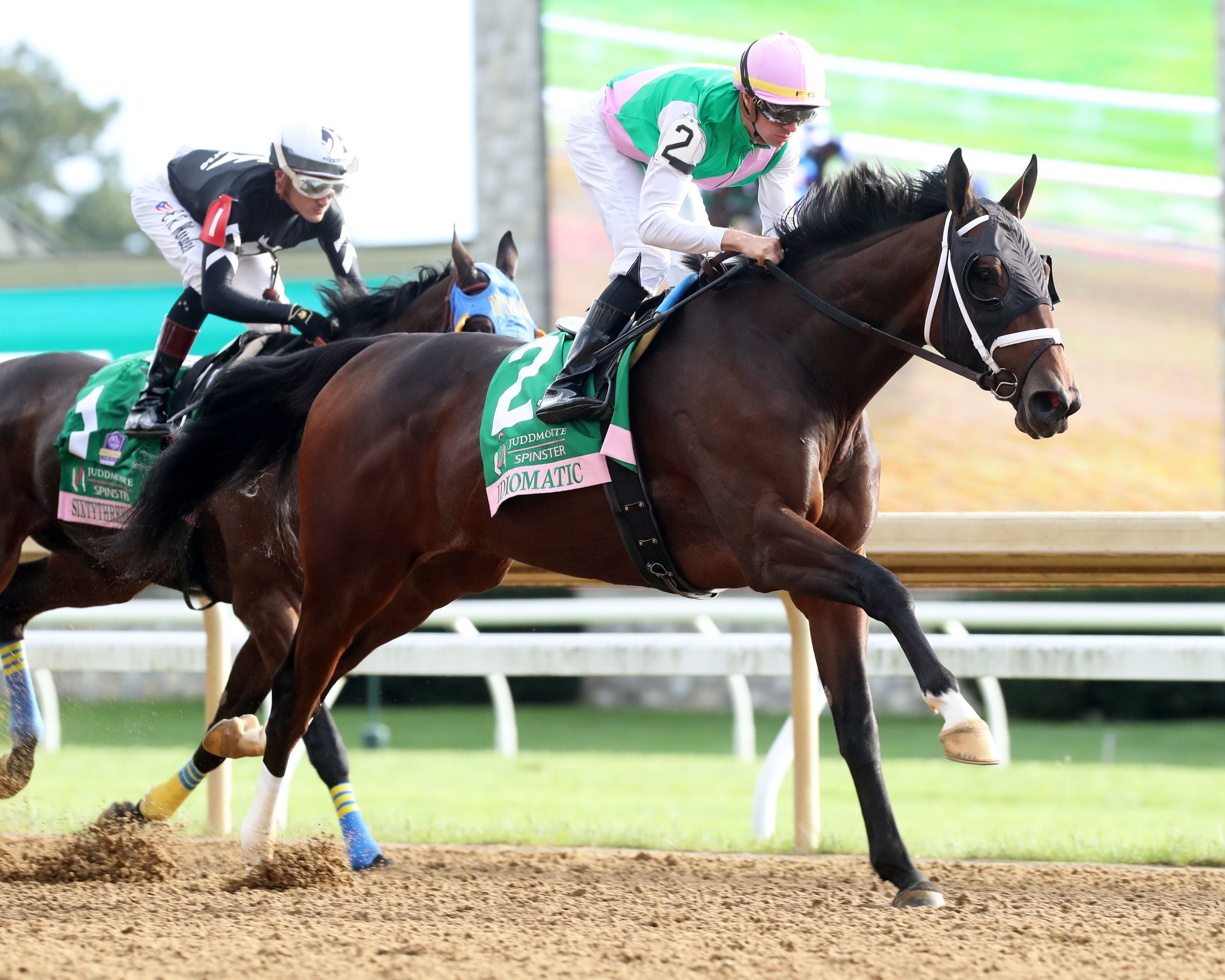 Idiomatic to retire - Racing