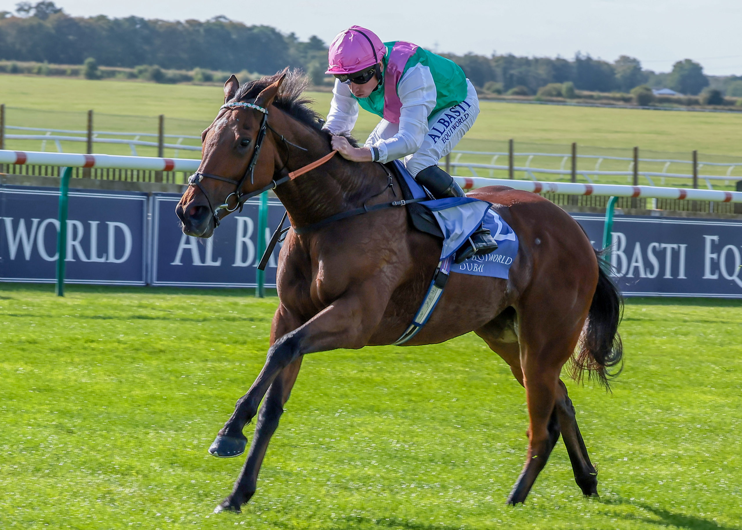 Time Lock to the fore in the Princess Royal - Racing