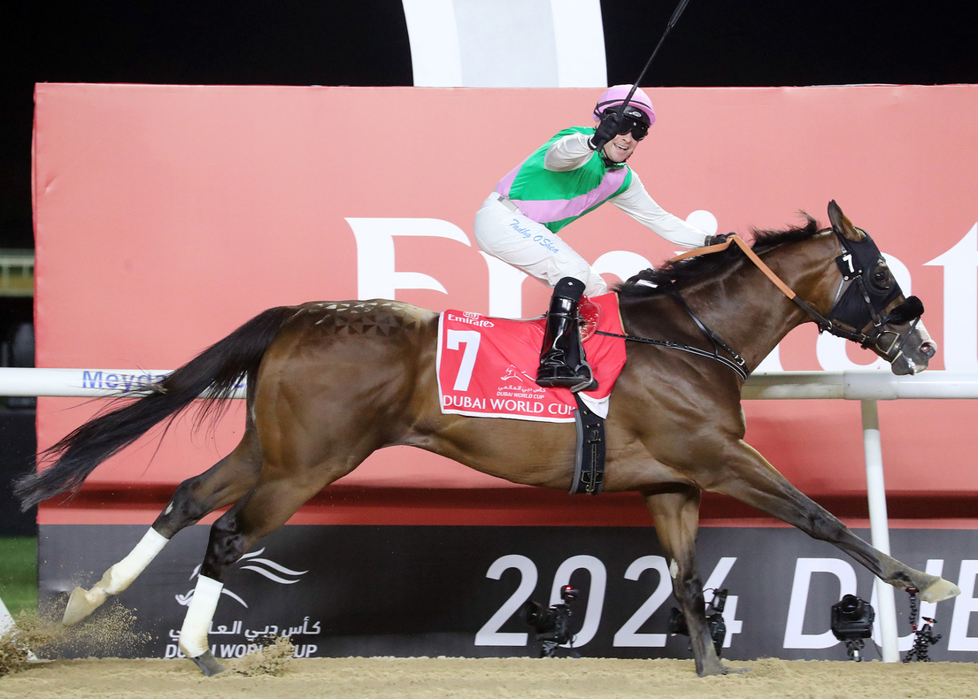Dubai World Cup Winner Laurel River Retires, Heads to Stud in Japan ...