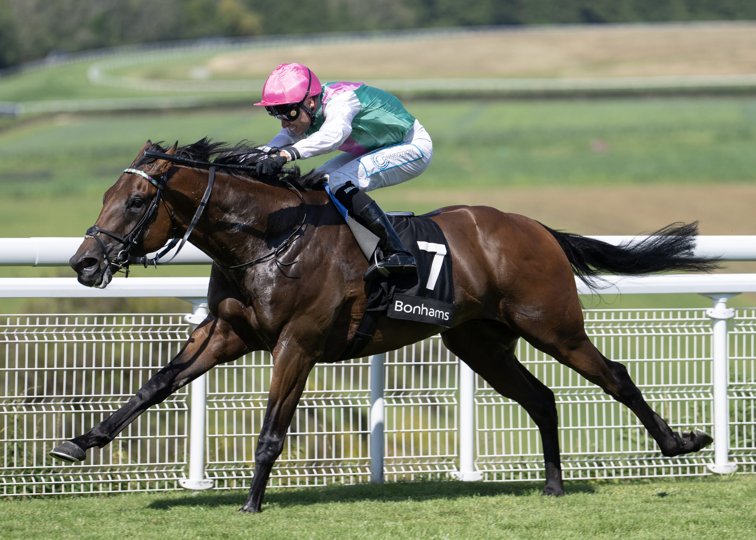 Lead Artist - Racing