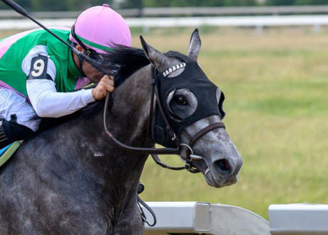 A duo of stakes wins in the US - Racing