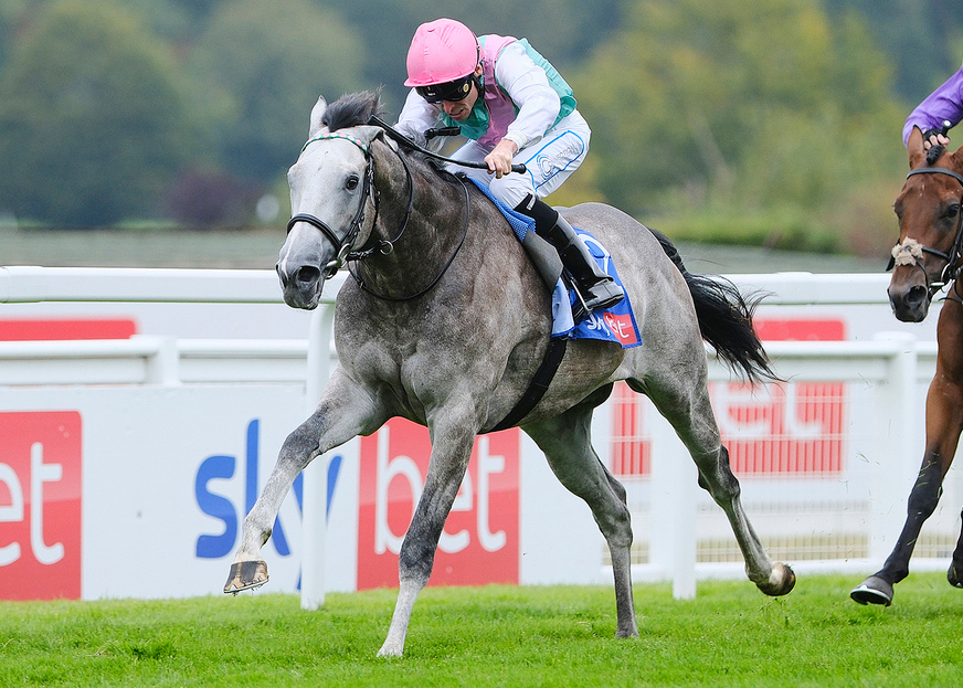 Field Of Gold - Racing