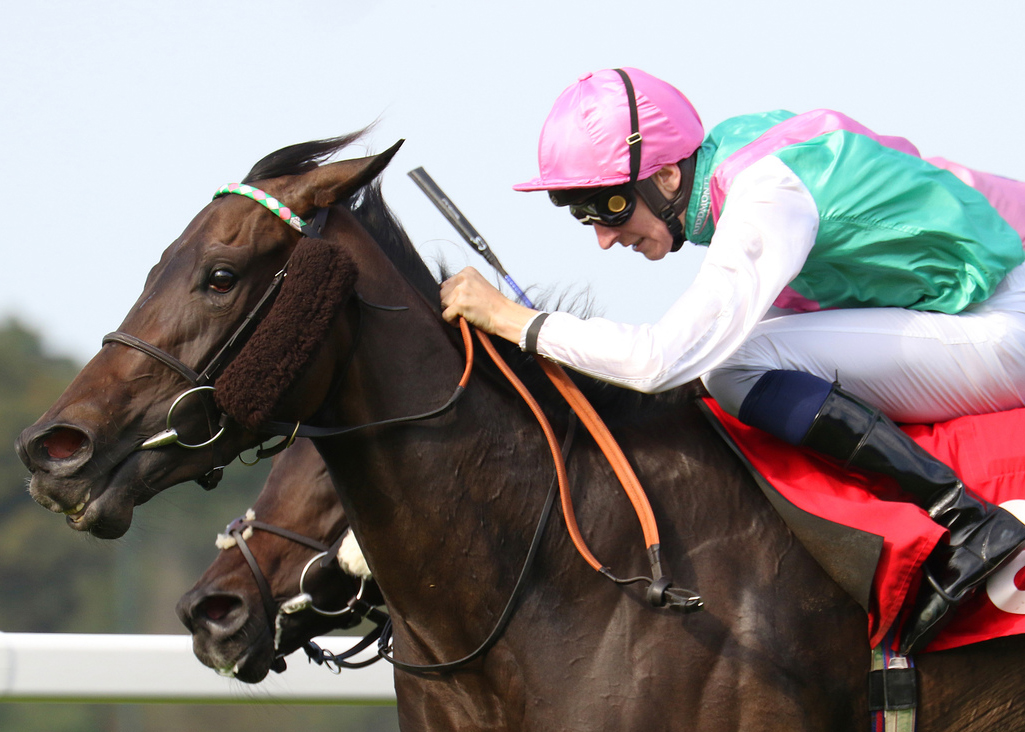 Skellet claims her first victory at stakes level - Racing