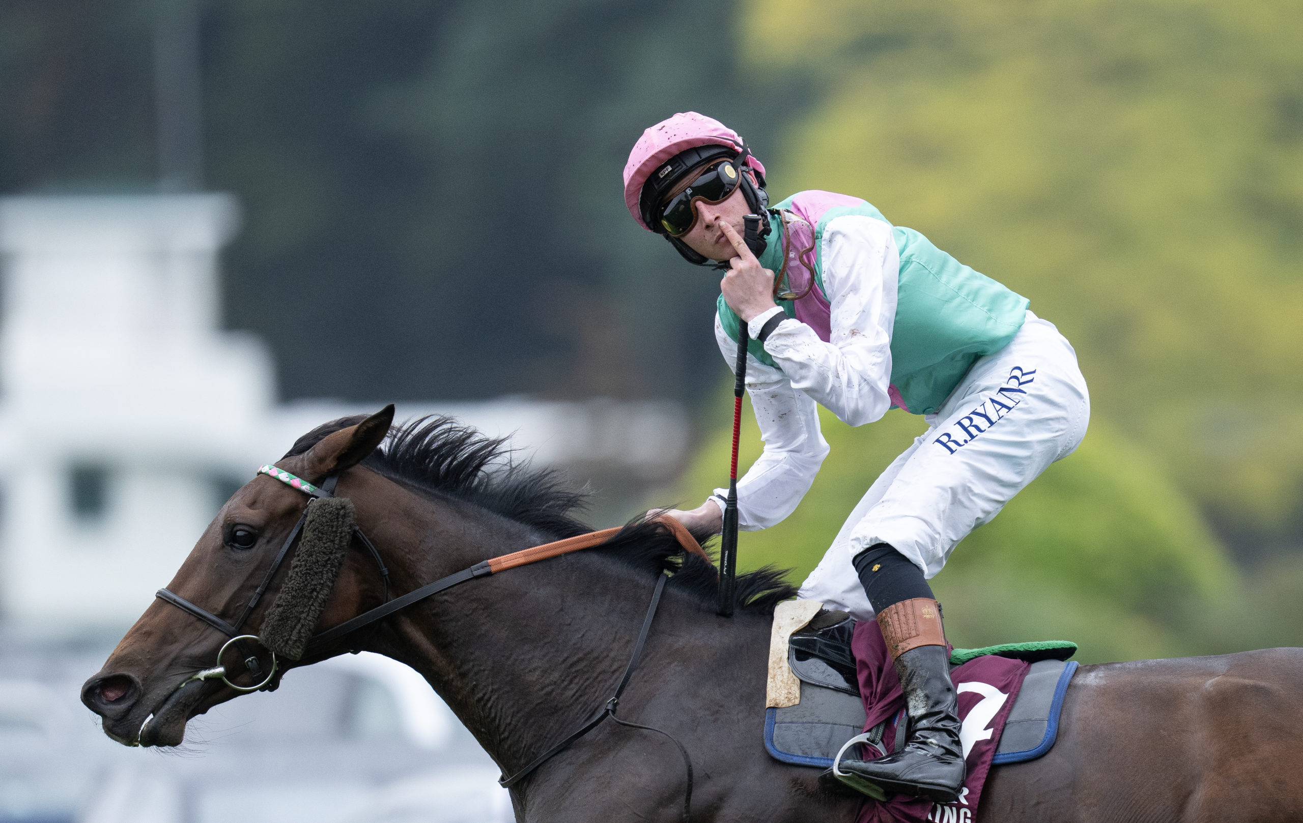 Record seventh Arc for Juddmonte as Bluestocking delivers - Racing