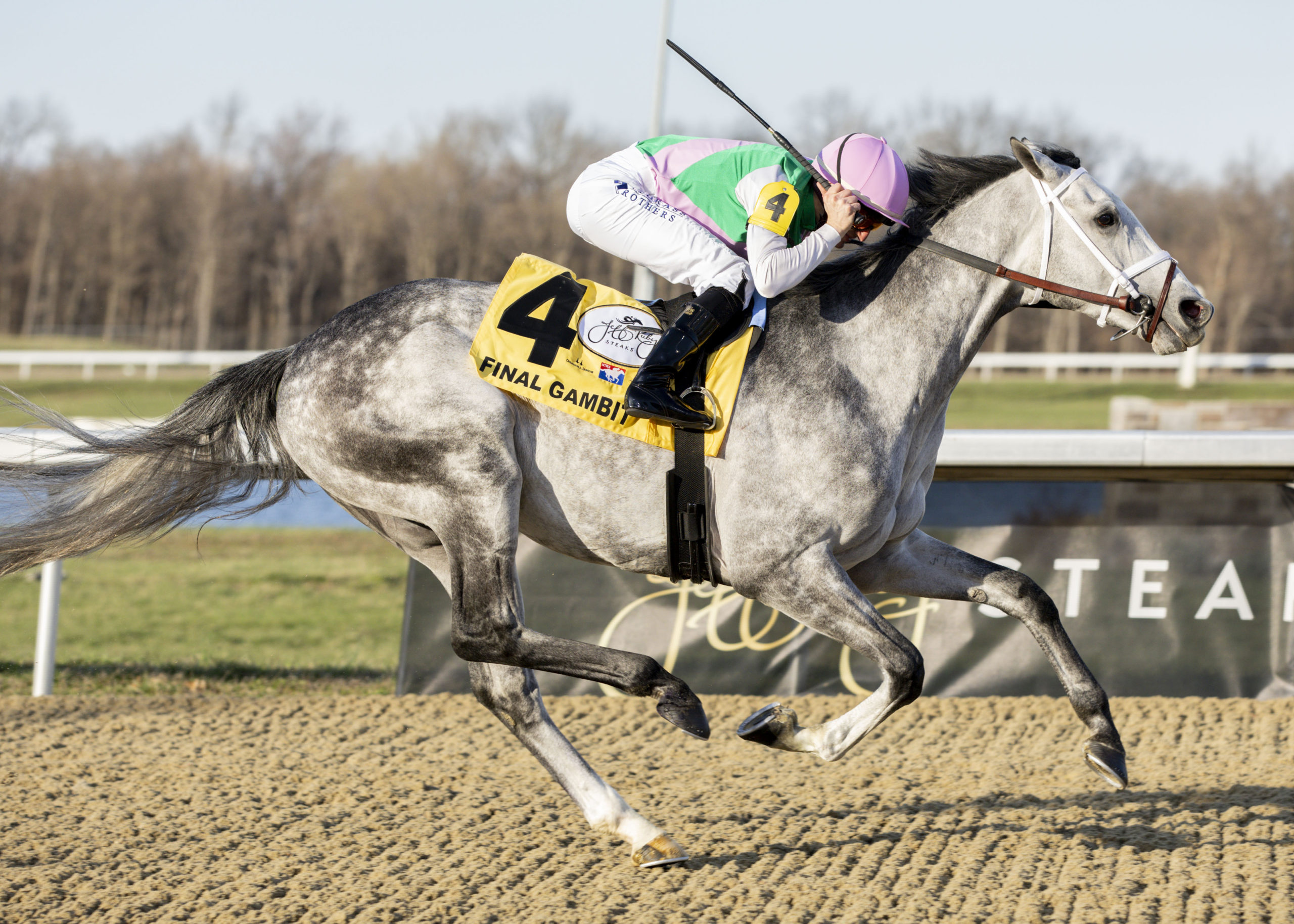 Final Gambit - Racing