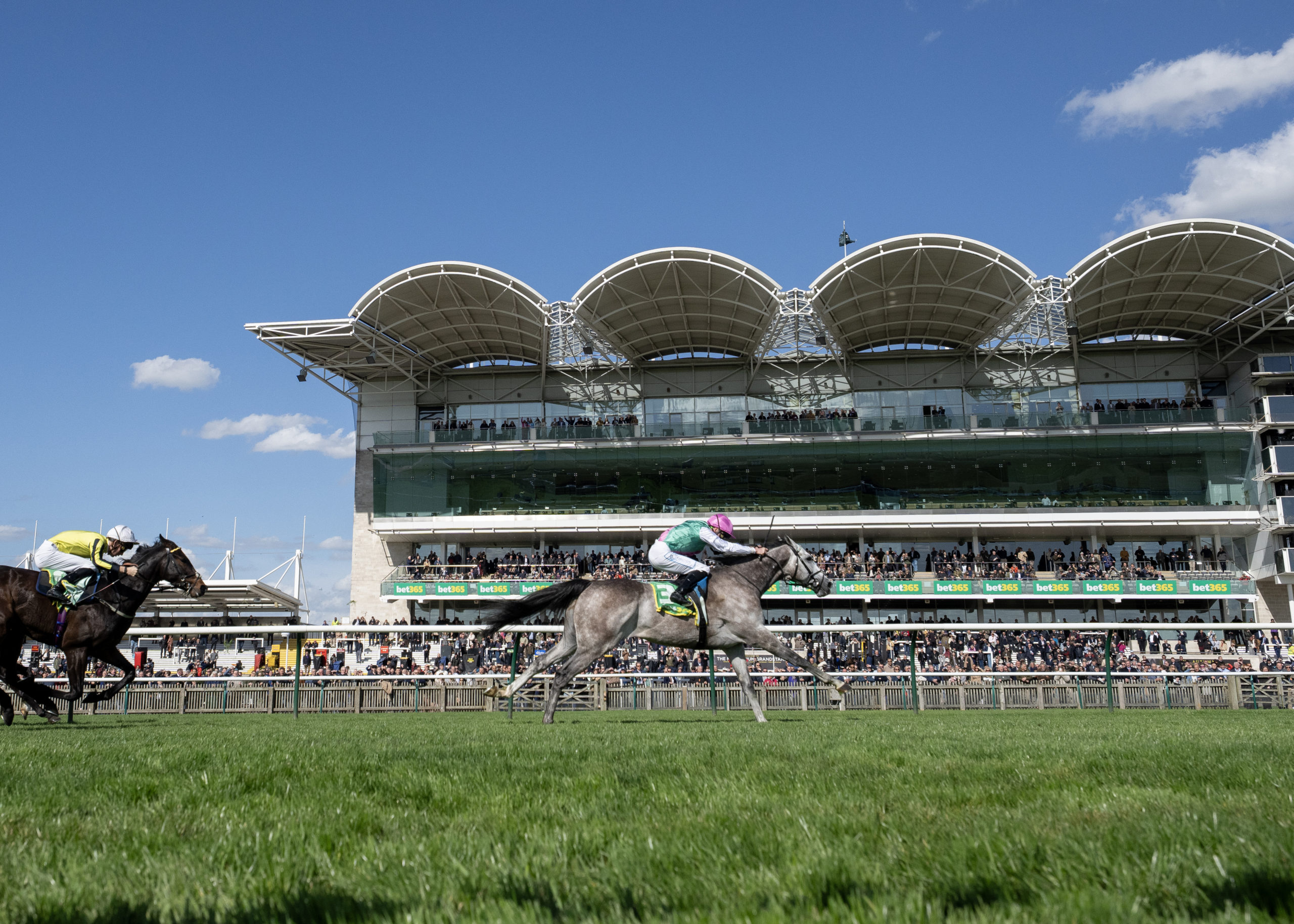 Field Of Gold shines in the Craven Stakes - Racing