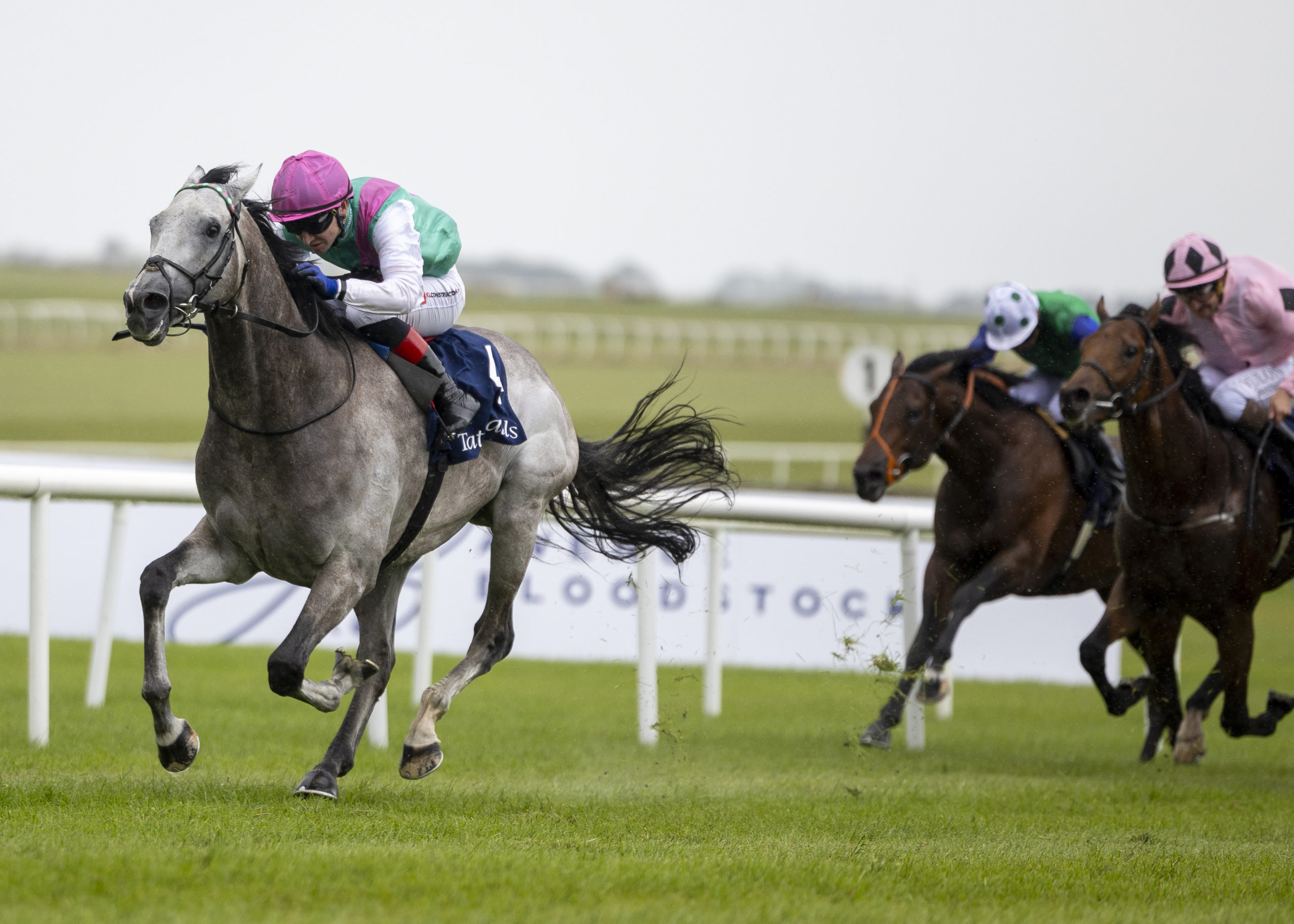 Brilliant Field Of Gold blitzes the Irish 2000 Guineas - Racing