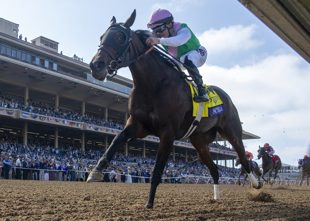 Scylla is sublime in the Breeders' Cup Distaff - Racing