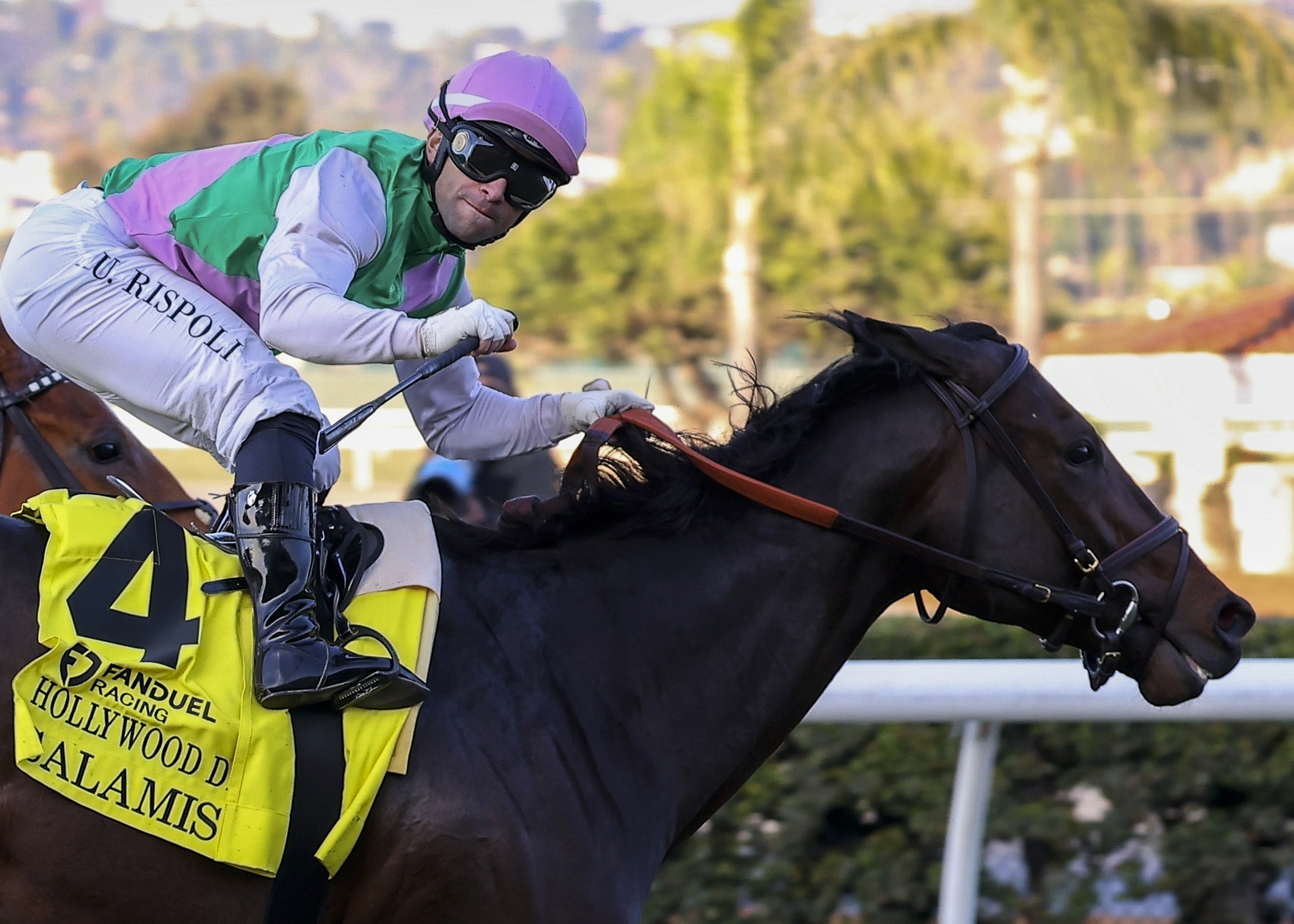 Grade 1 Del Mar double for half-siblings Salamis and Segesta - Racing