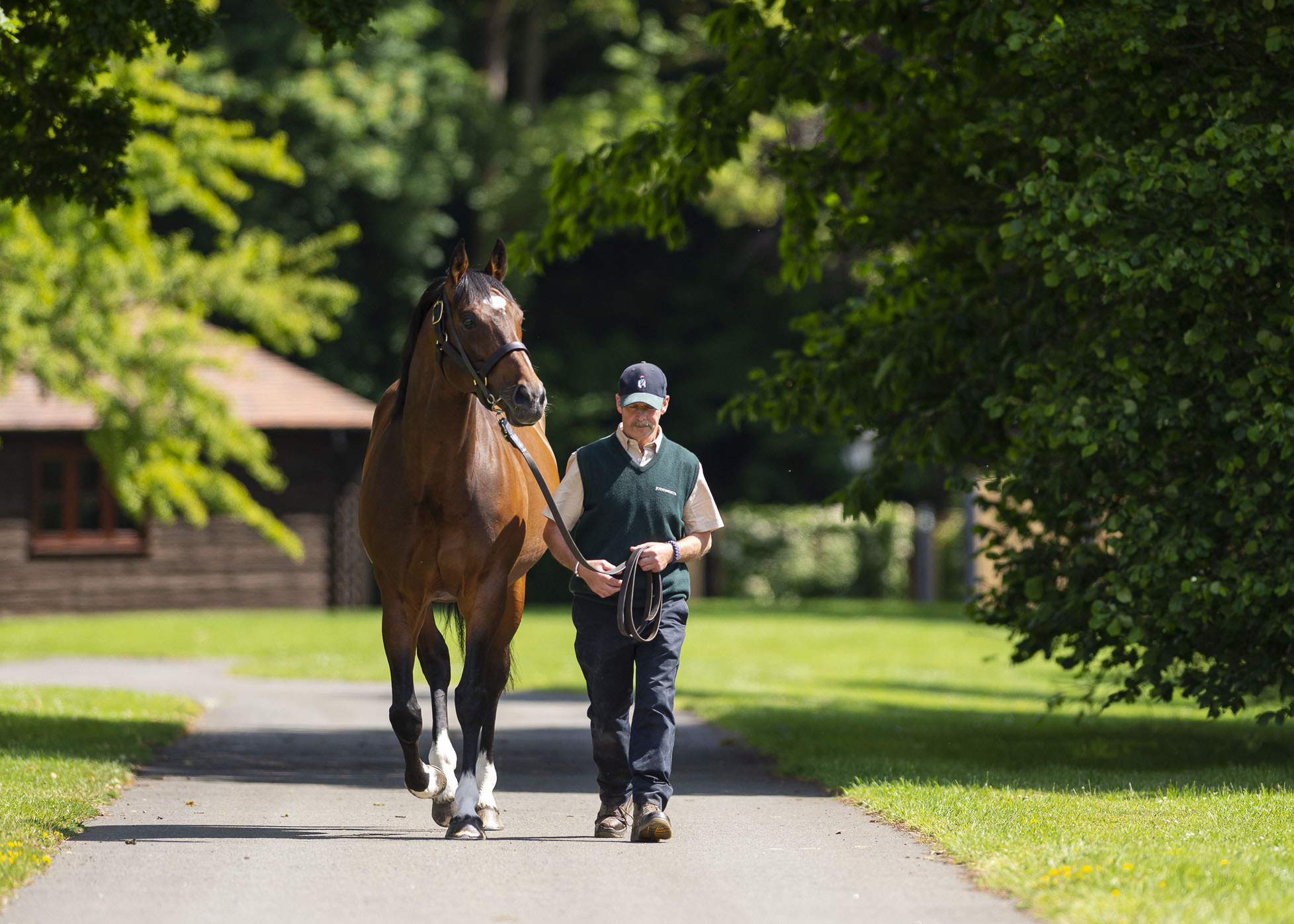 Frankel 3YOs make a great start to the season - Stallions