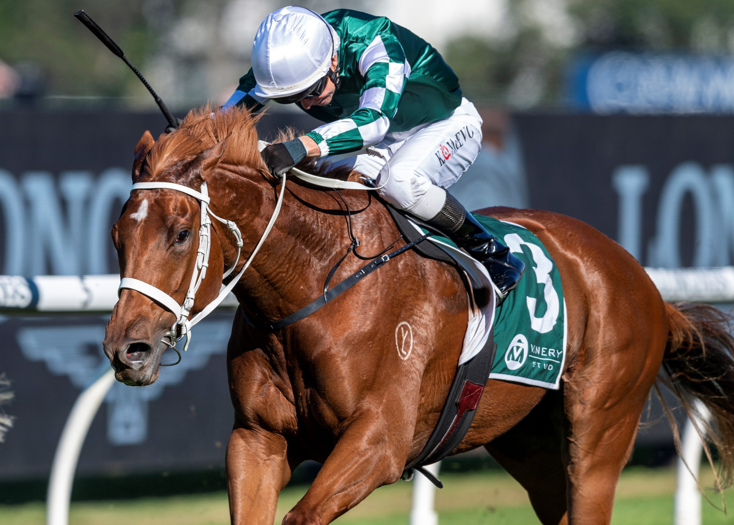 Hungry Heart eats up Vinery rivals - Stallions