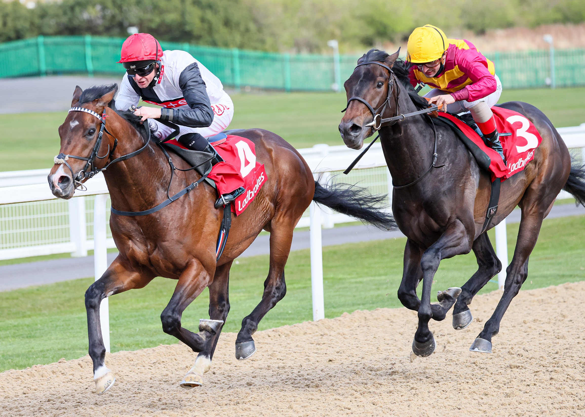 Listed success for Megallan - Stallions