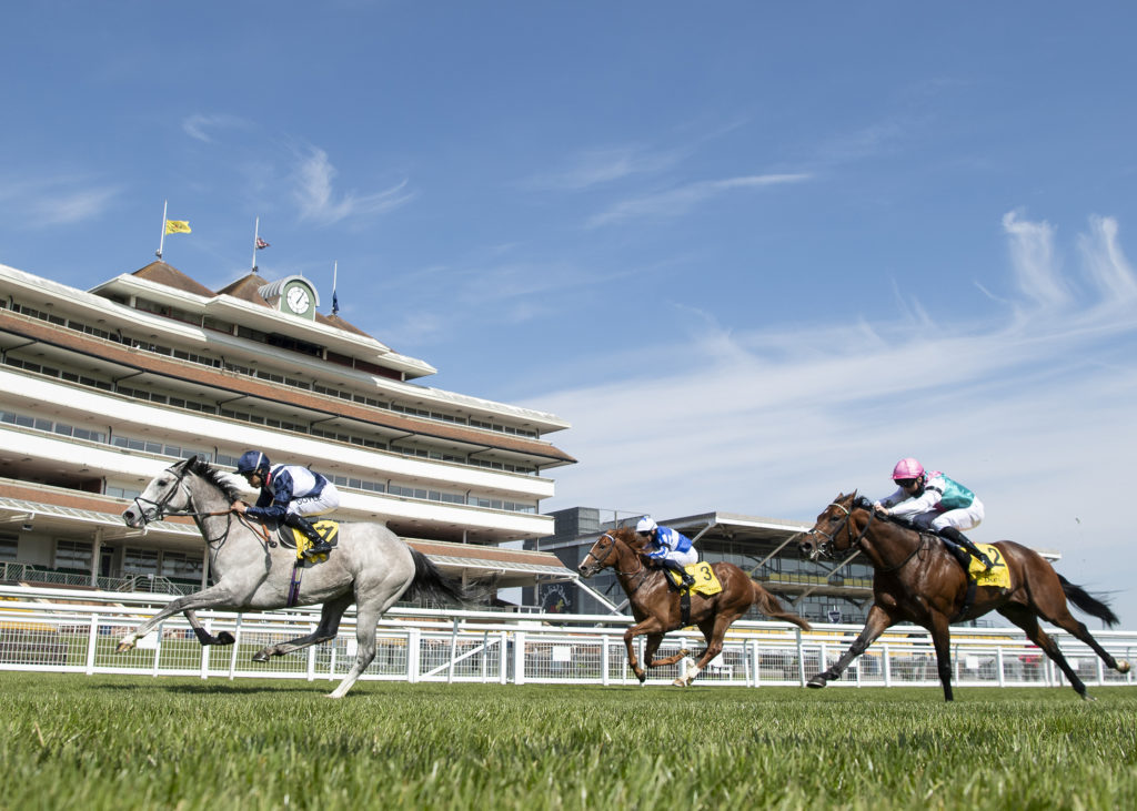 Lantern showcases Classic credentials - Stallions