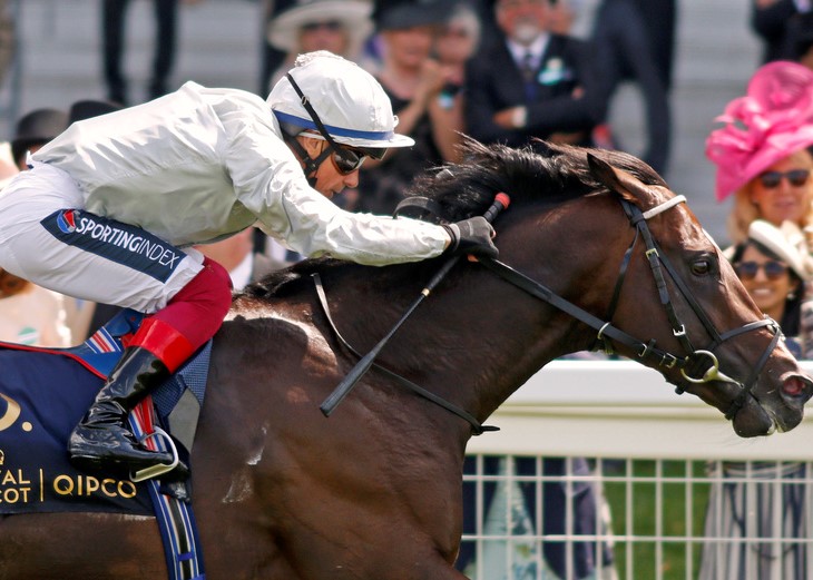 Three Juddmonte-sired horses honoured at the Cartier Racing Awards ...