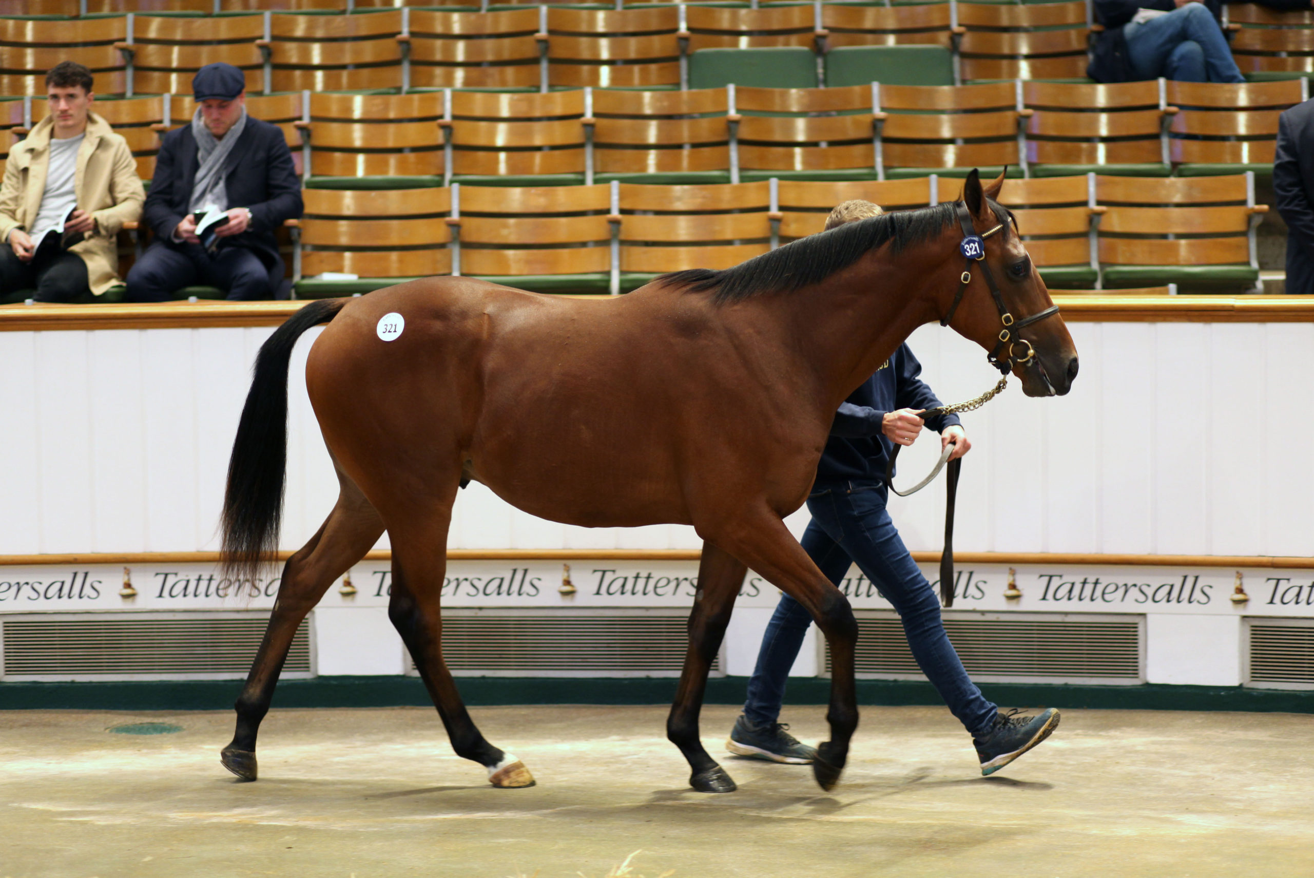 1 1 Million Gns Yearling For Kingman On Day Two Of October Sales