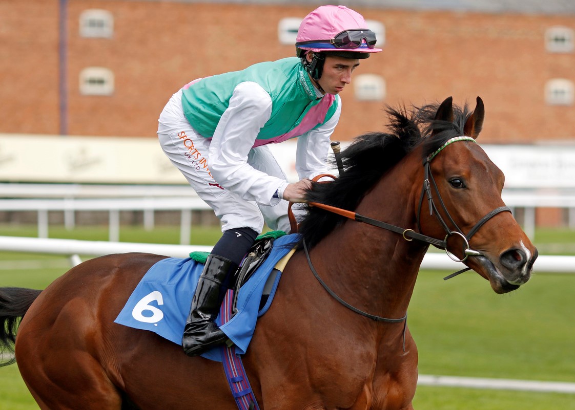 First winner for Expert Eye - Stallions