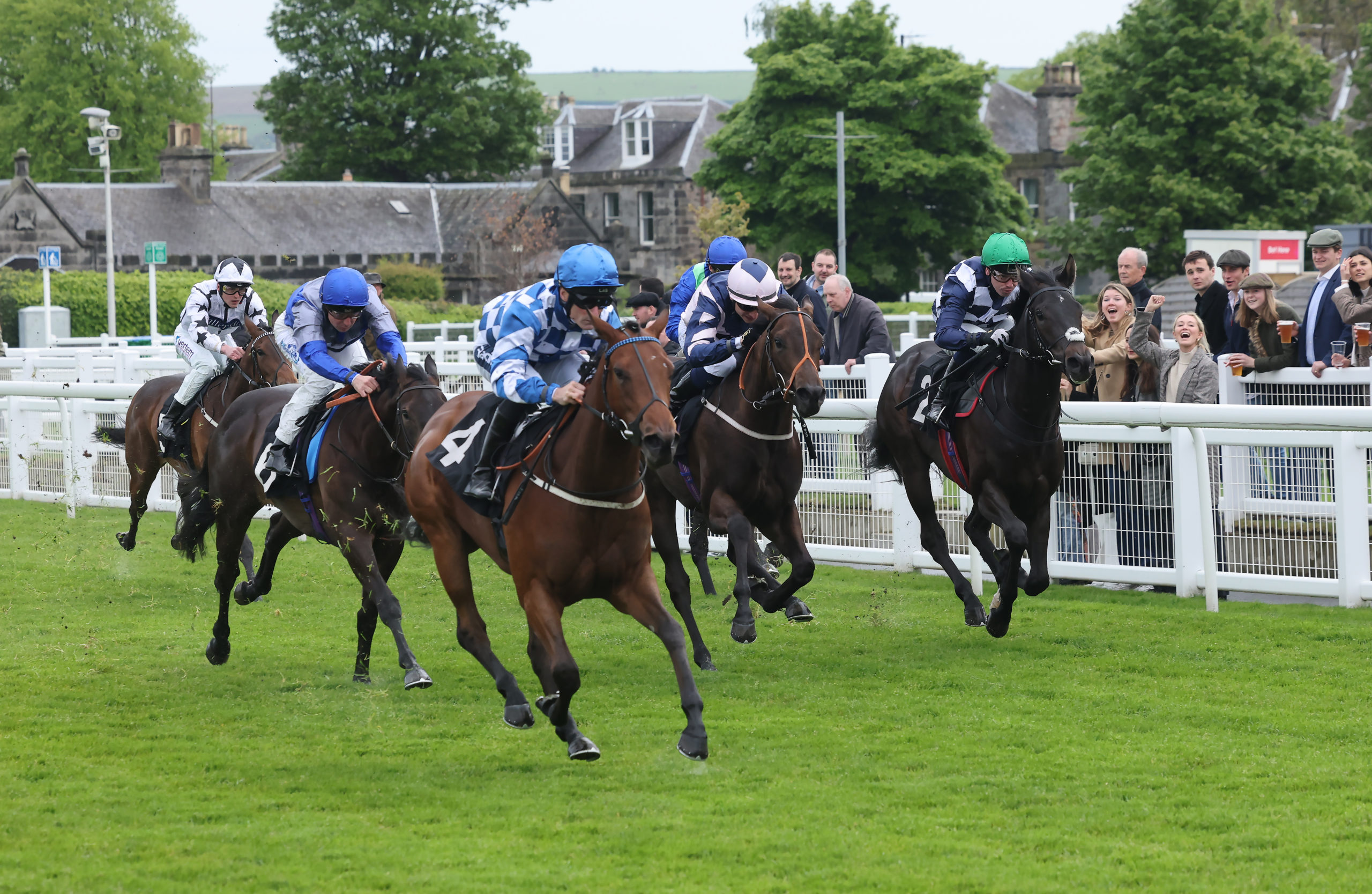 Cathy Come Home provides another win for Expert Eye - Stallions