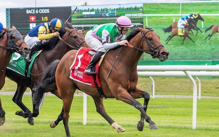 Masen reaches Graded status - Stallions