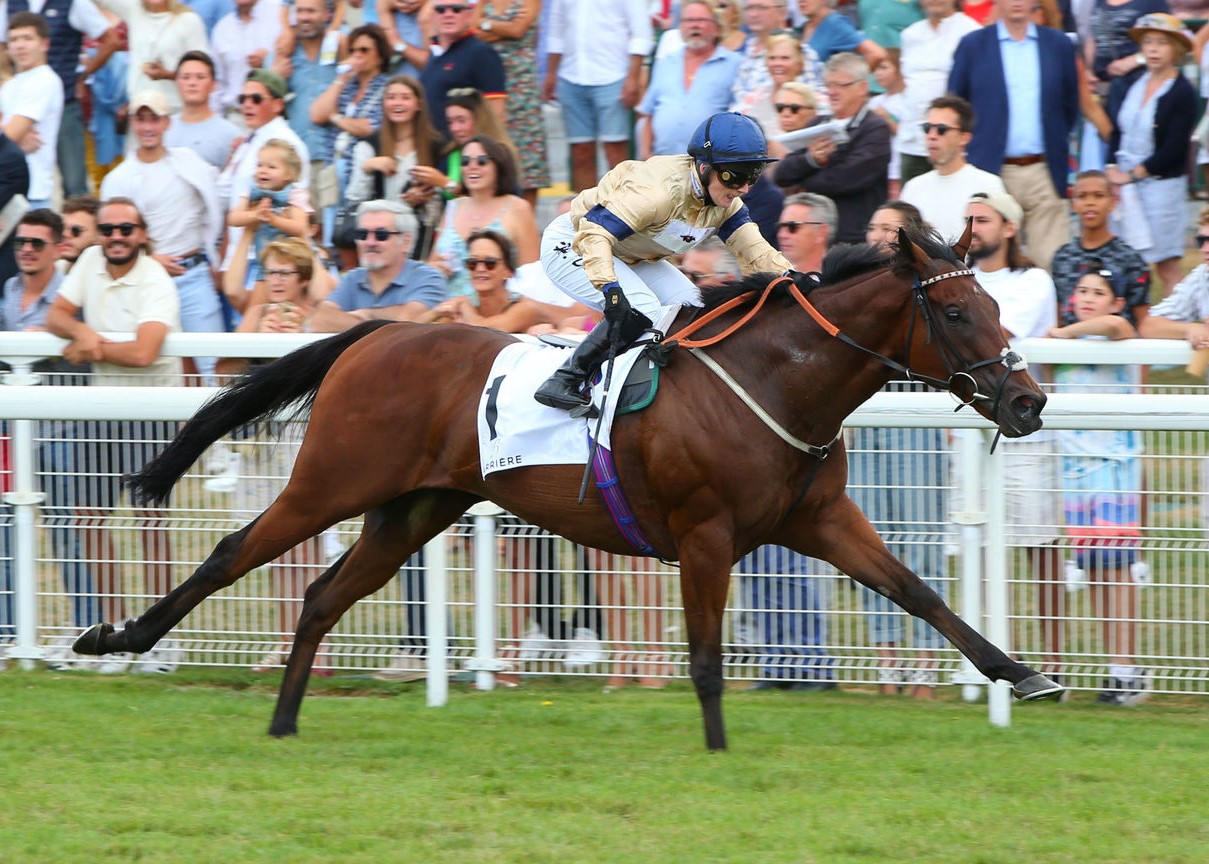 More Group success for Tempus - Stallions