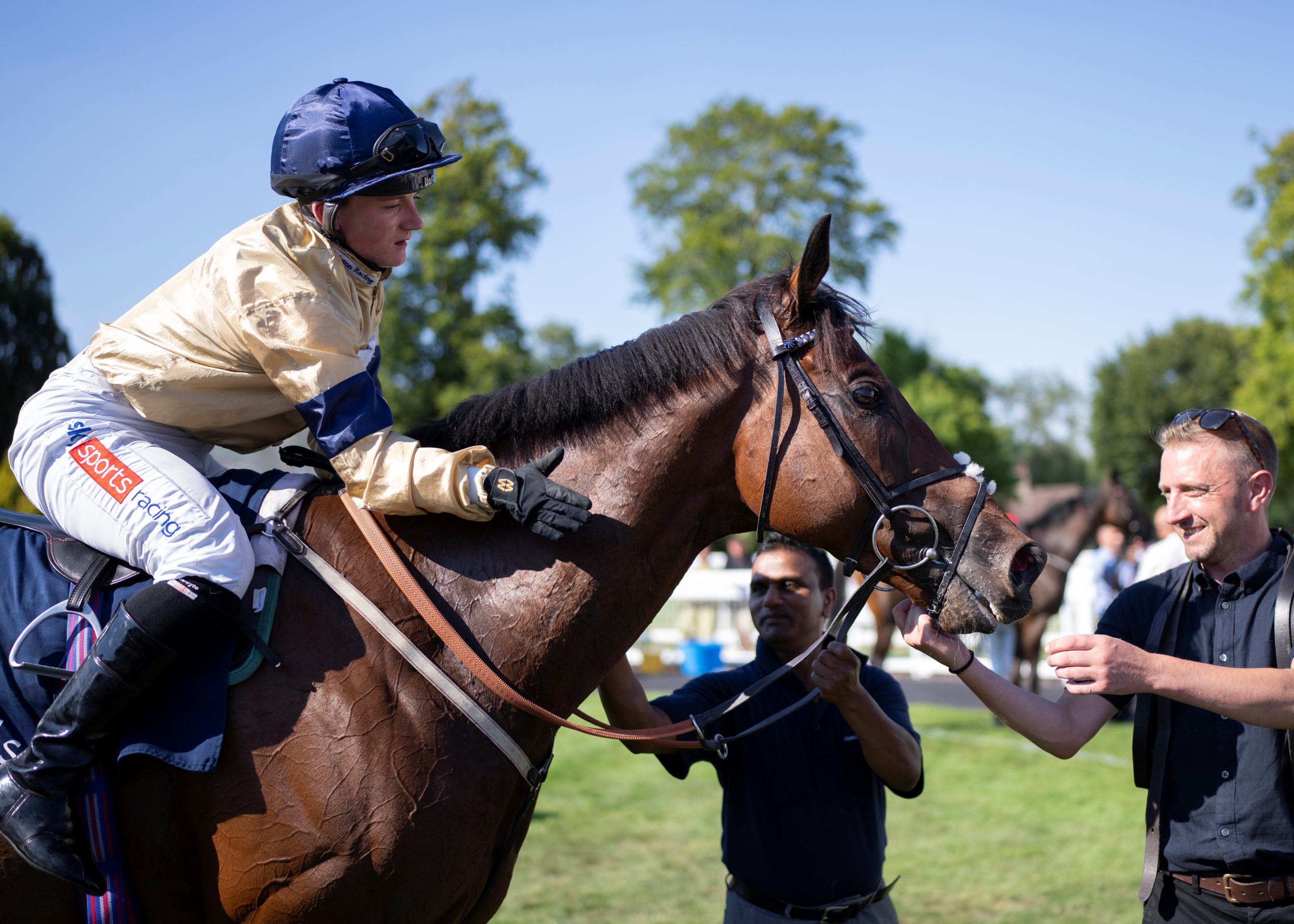 Tempus arrives on time - Stallions