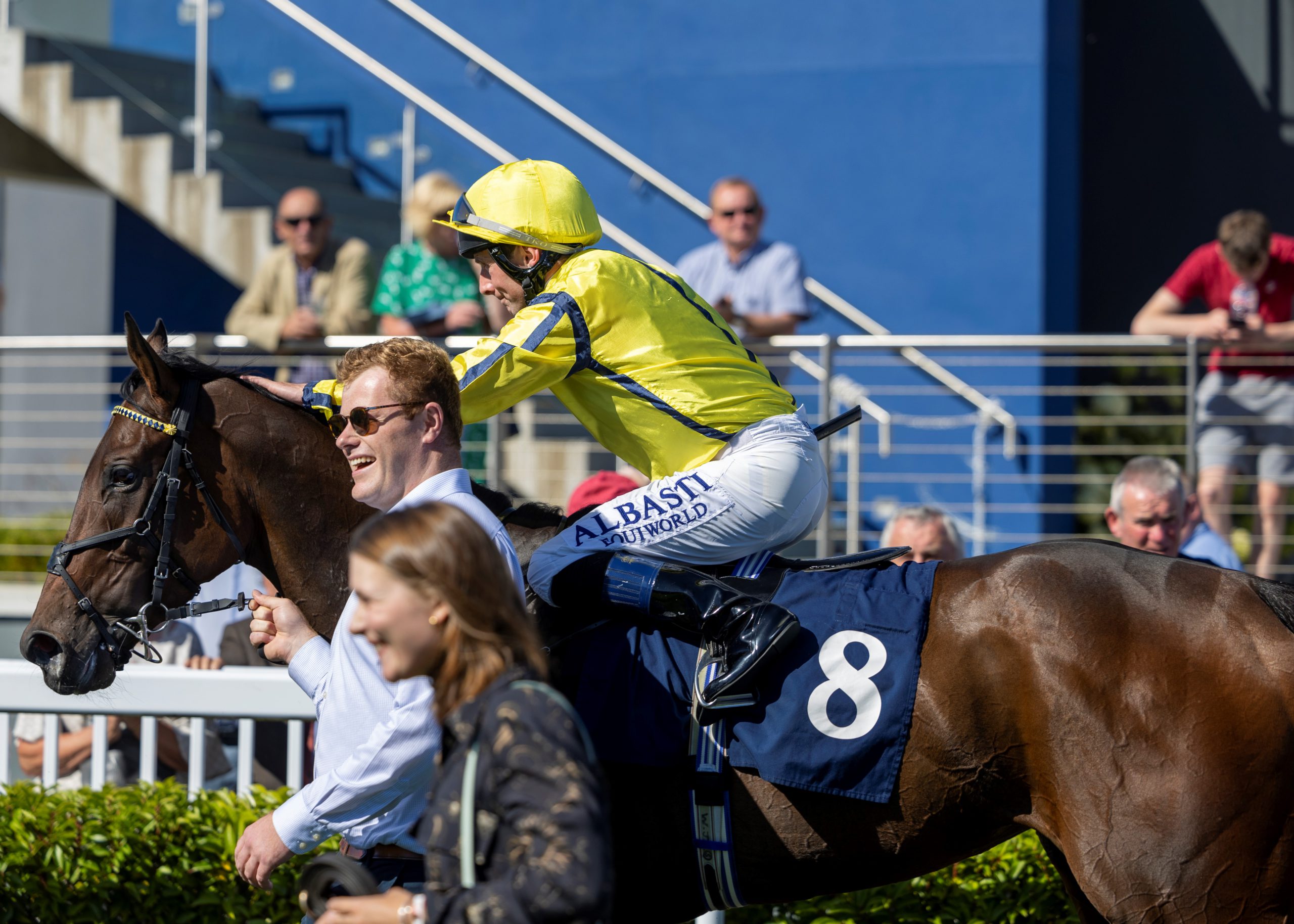 Perfect News takes the Ballyogan - Stallions