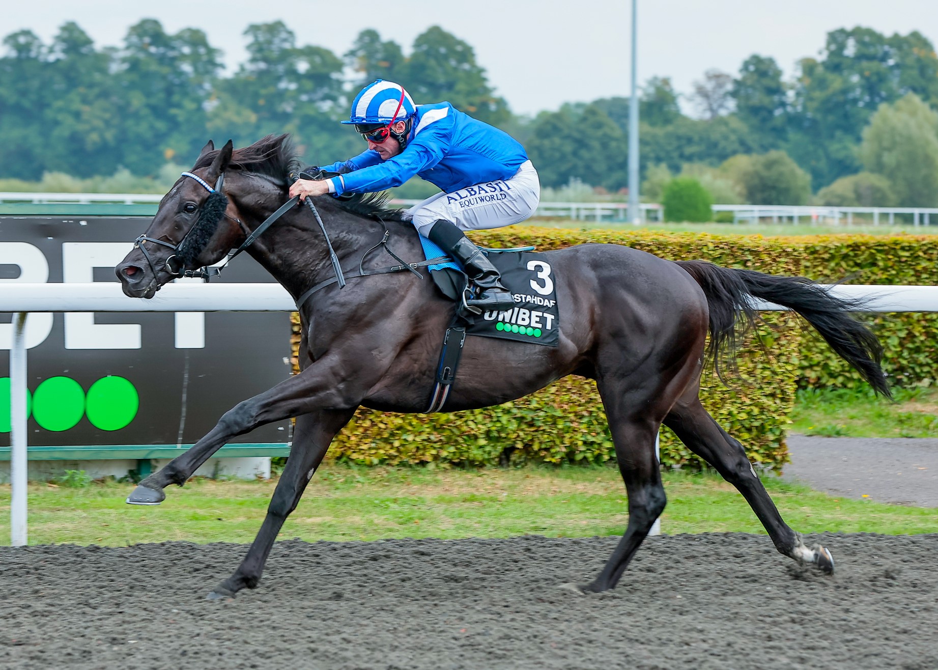 Third Group win for Mostahdaf - Stallions