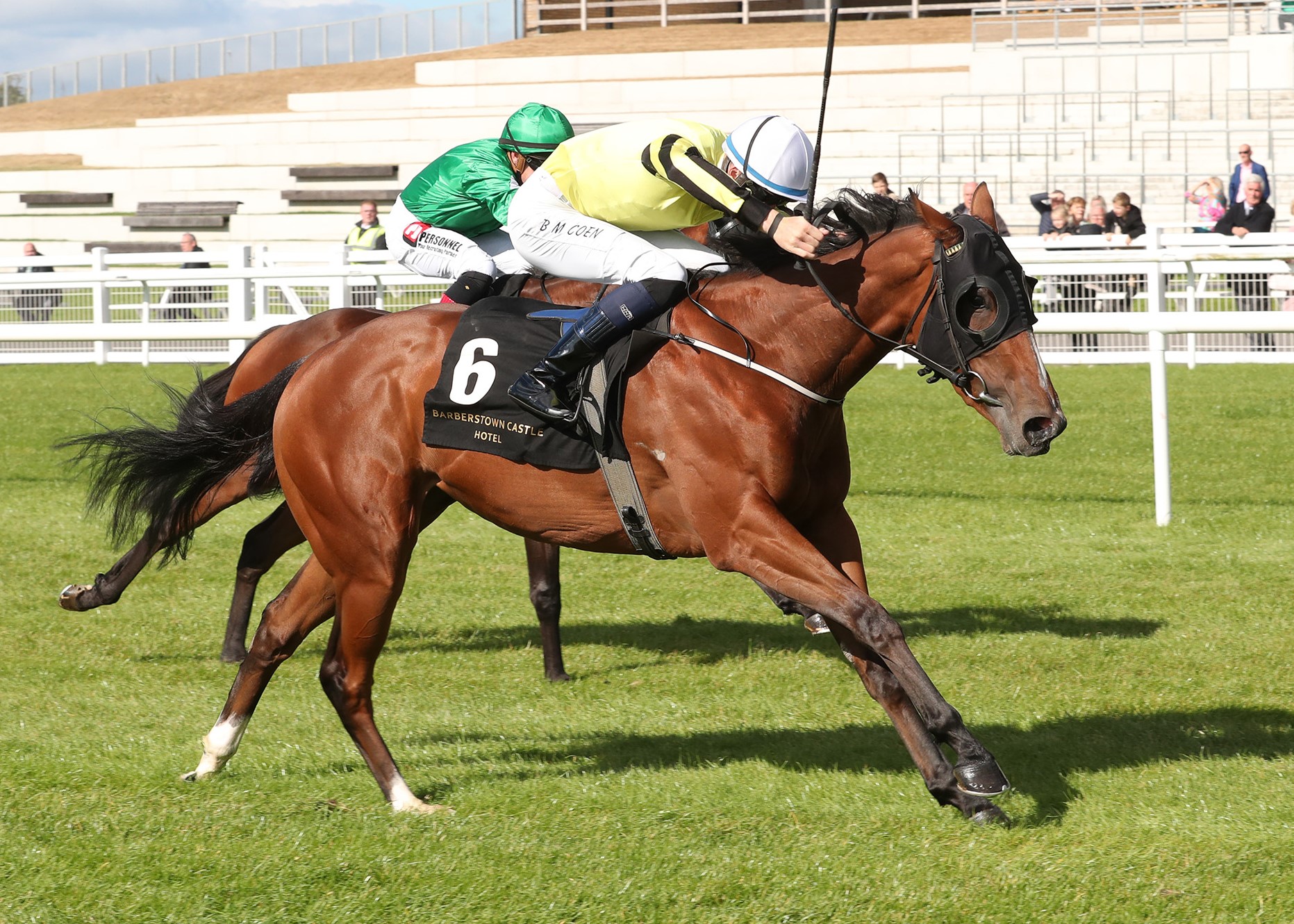 Mile End 15th winner for Expert Eye - Stallions