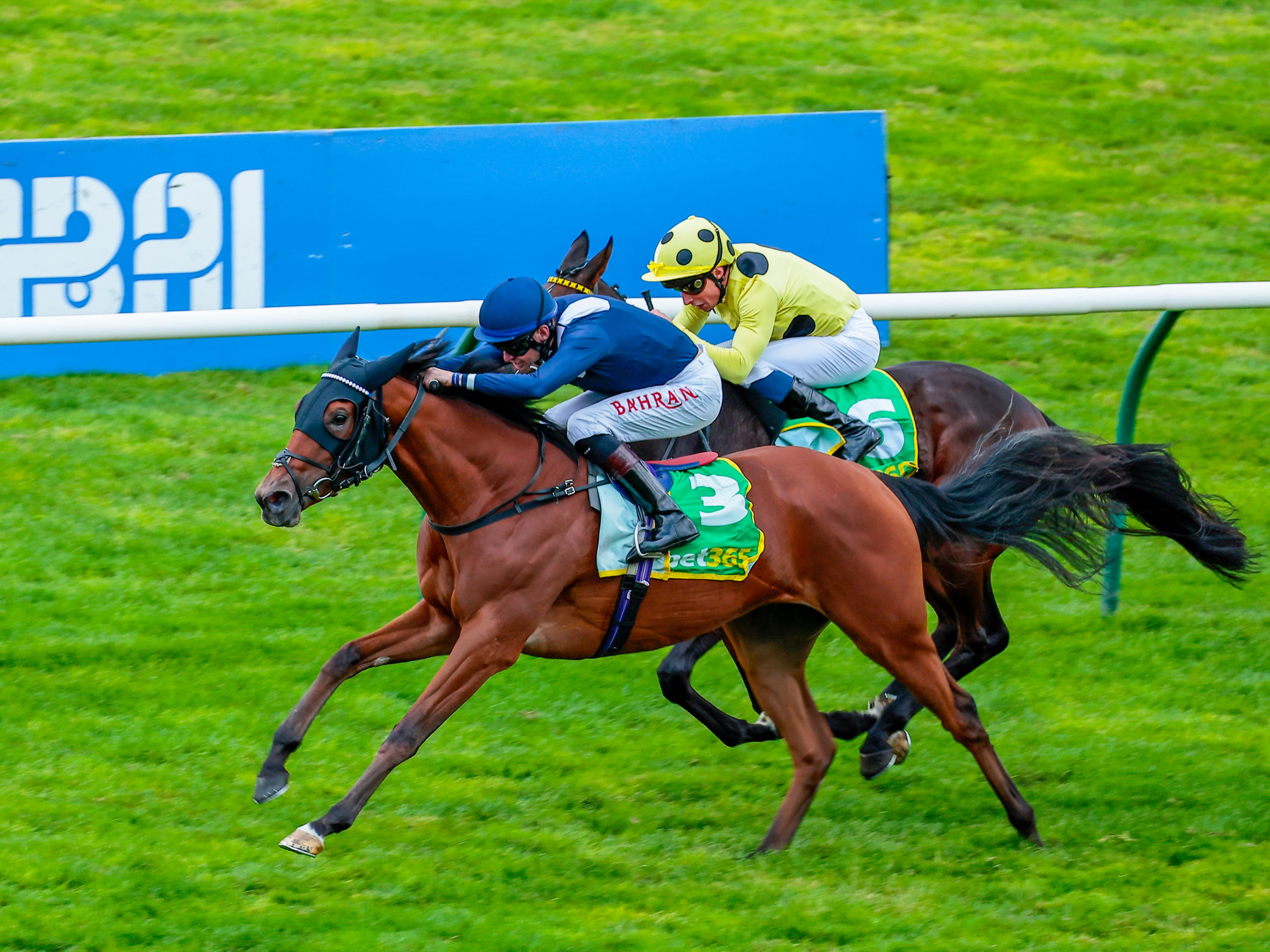 Commissioning a new Group 1 winner for Kingman - Stallions