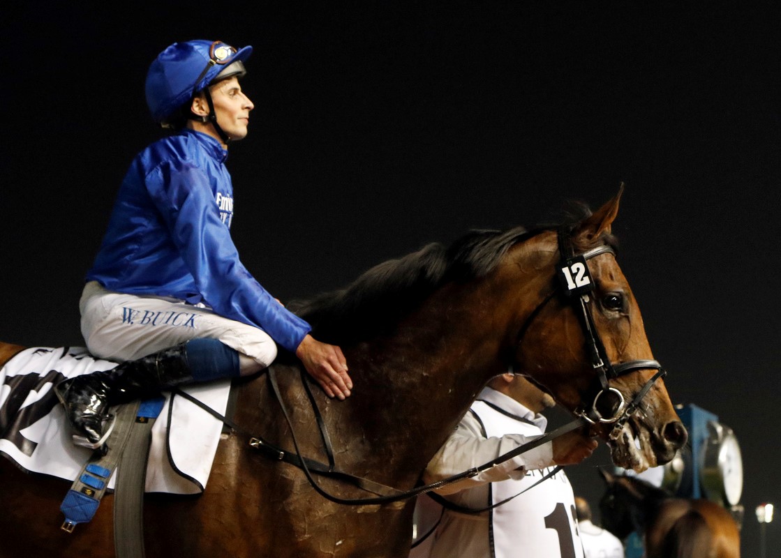 Another Meydan Group win for With The Moonlight - Stallions