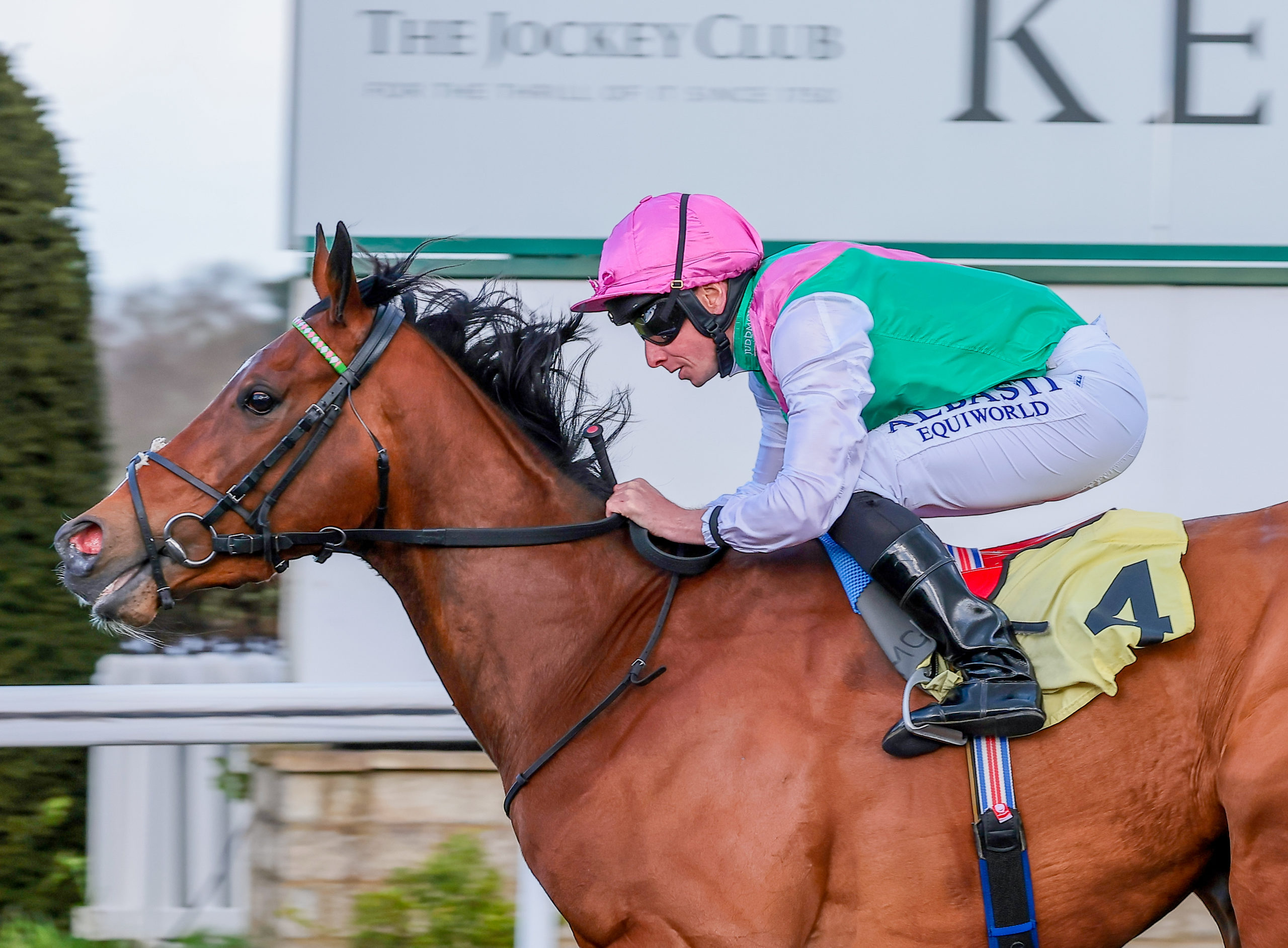 Stakes-winning reappearance by Laurel - Stallions