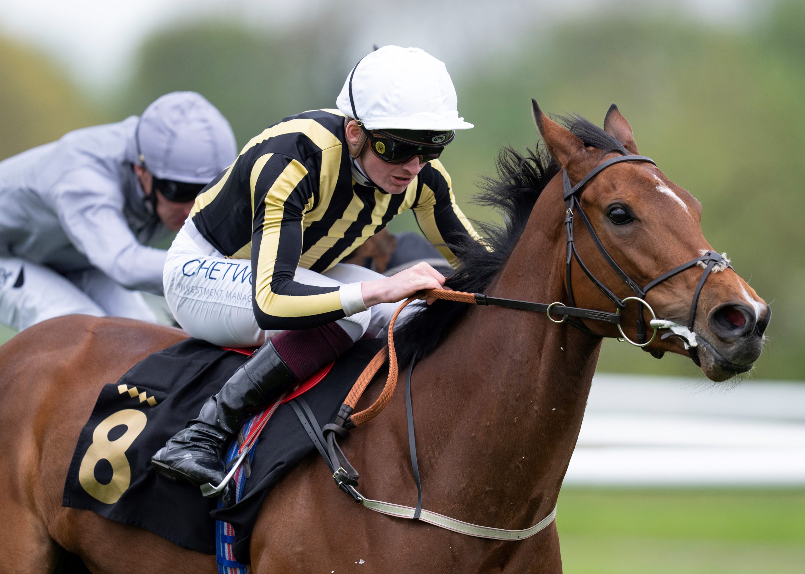 One For Bobby takes her first stakes win - Stallions