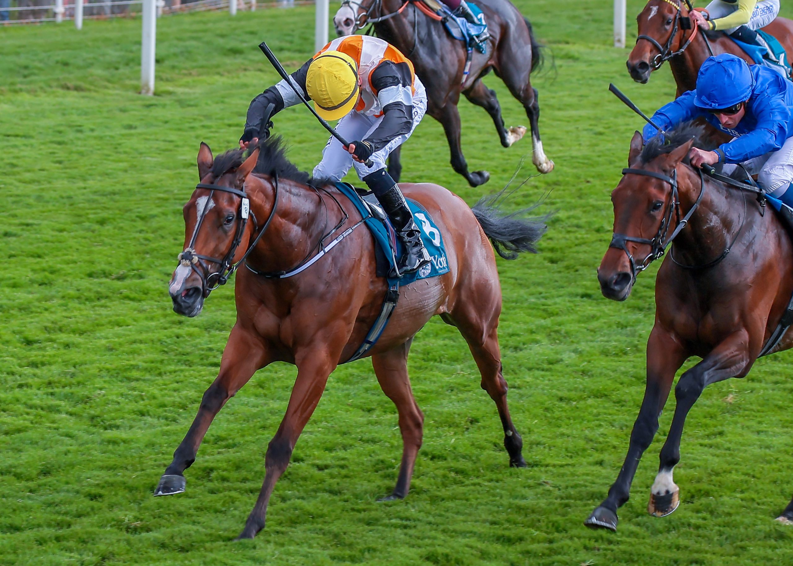 Sounds Of Heaven prevails in Michael Seely tight finish - Stallions
