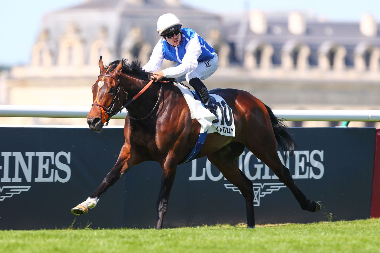 Kelina tops the Sandringham - Stallions