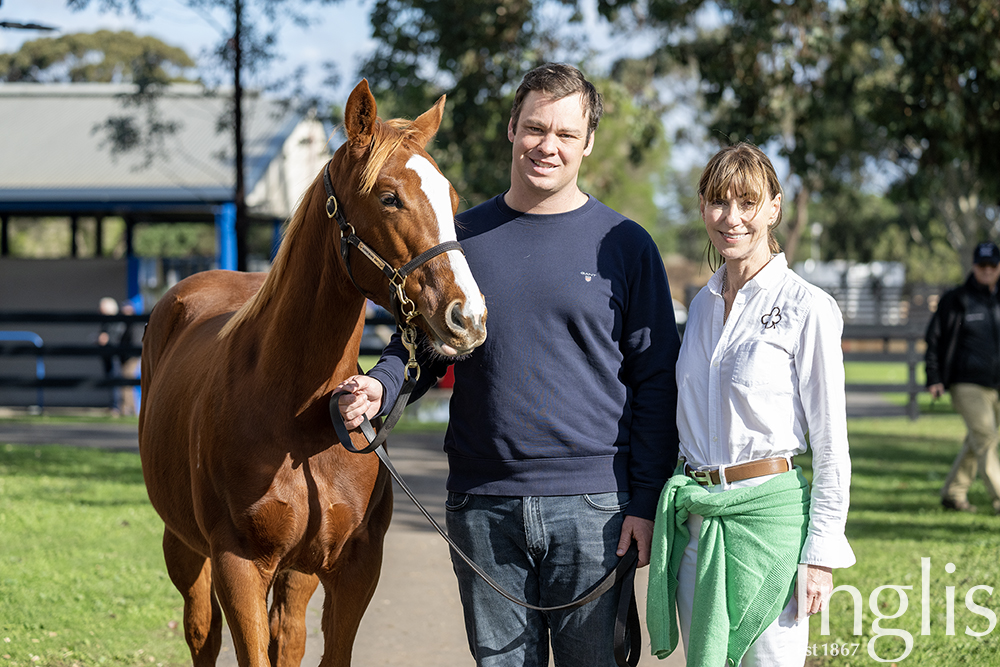 $825,000 Frankel Filly Sets New Record at Inglis Great Southern - Stallions