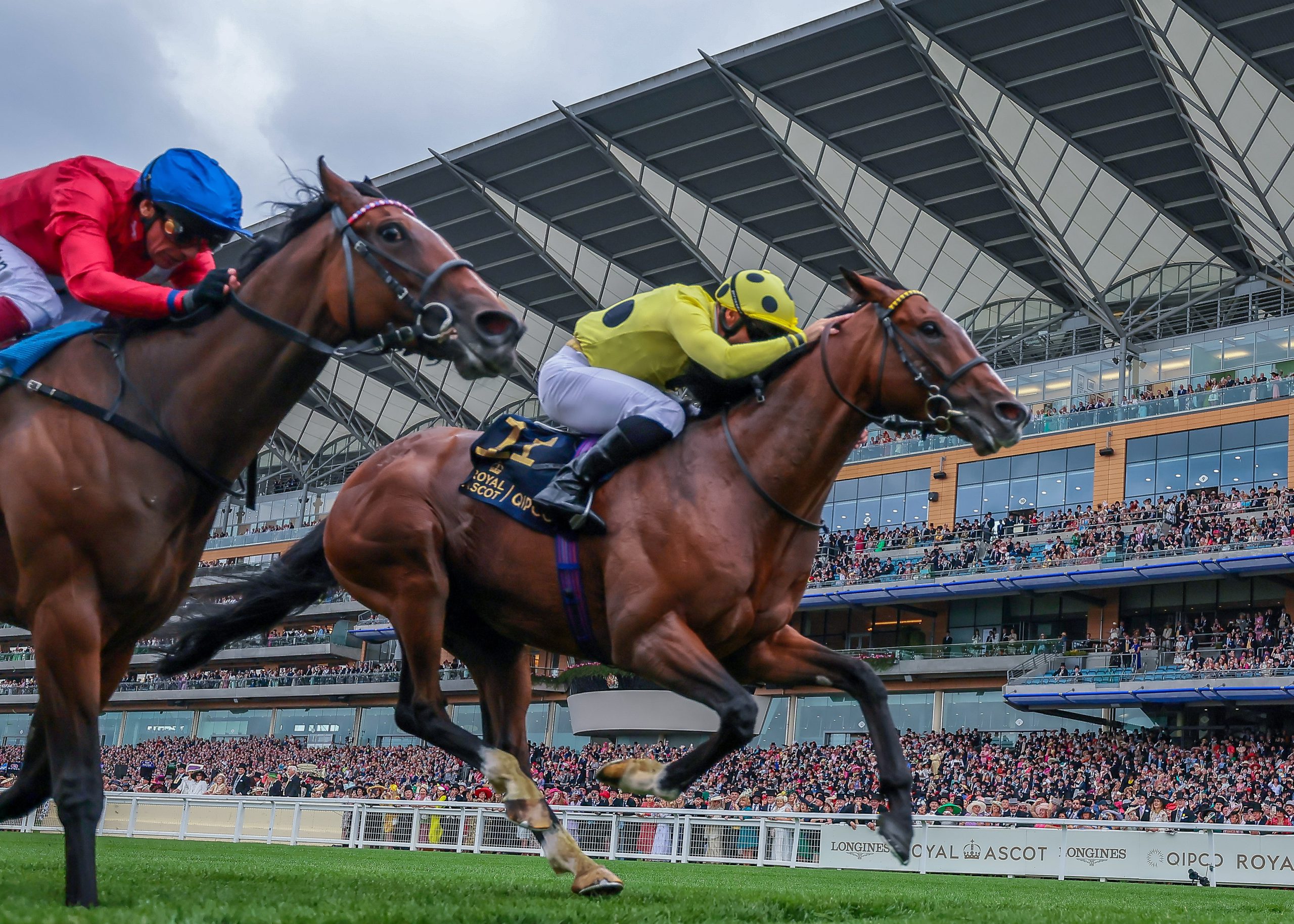 Group 1 one-two for Frankel - Stallions