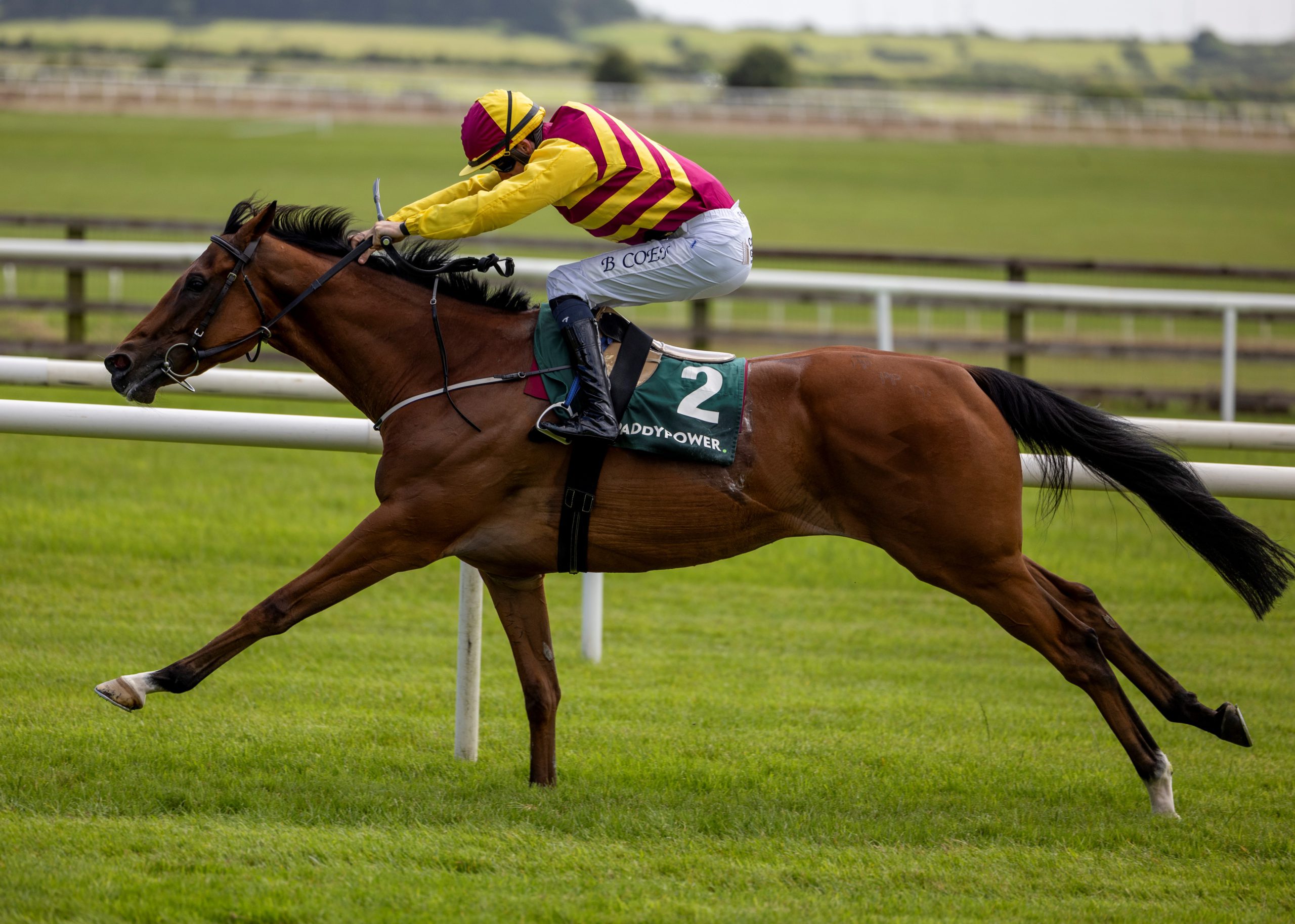 Mashhoor makes all to take the International Stakes - Stallions