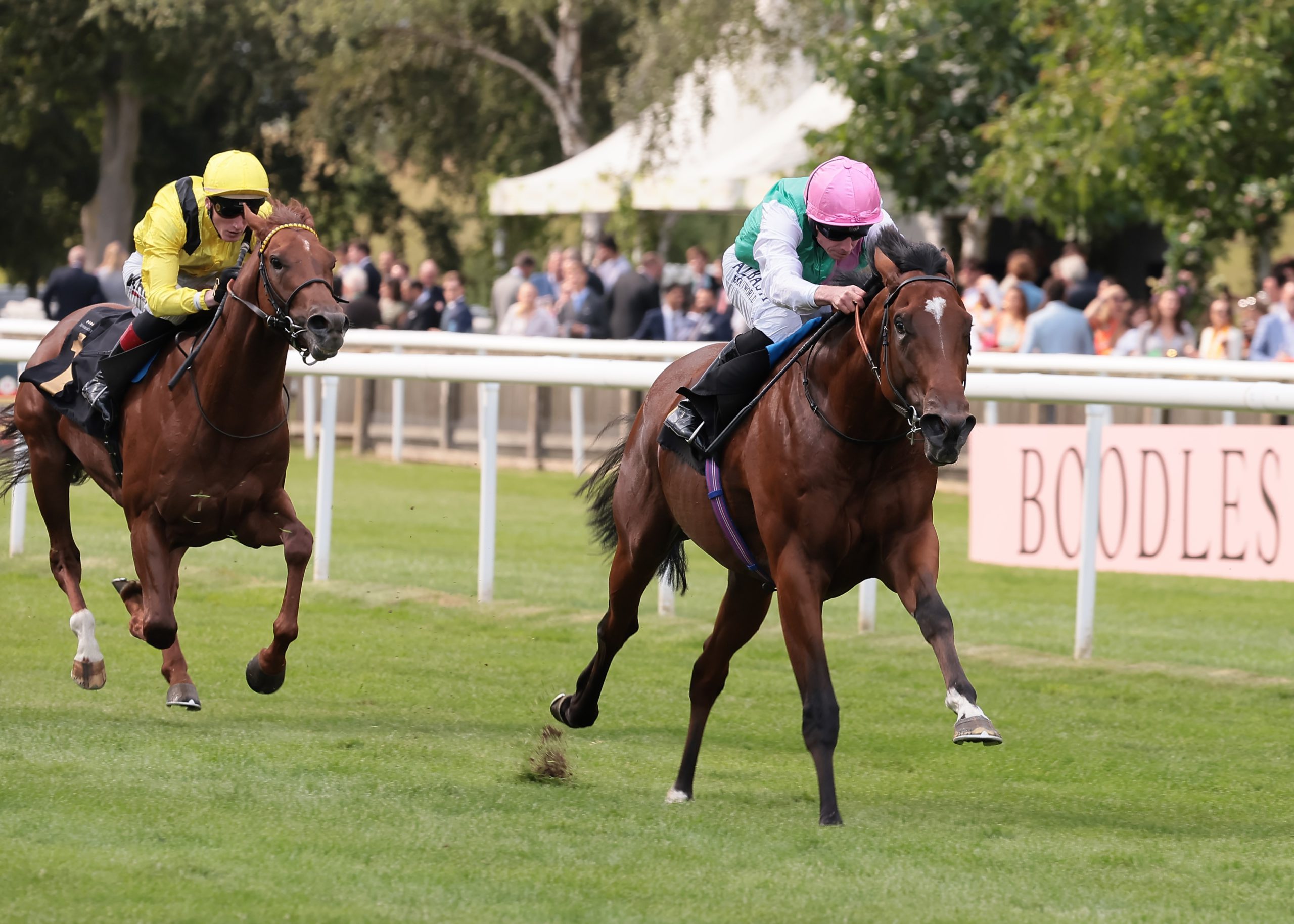 Nostrum back in style - Stallions