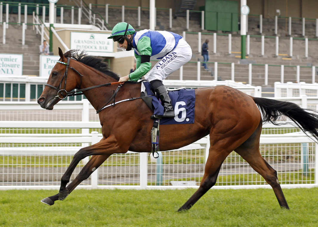 Ready To Venture steps up to win Seaway - Stallions