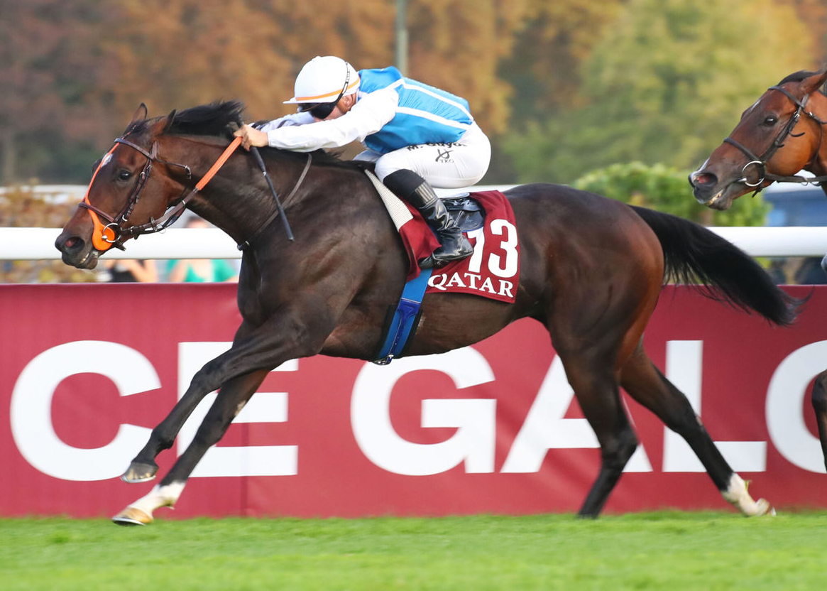 Kelina caps red letter day for Frankel in the Fôret - Stallions