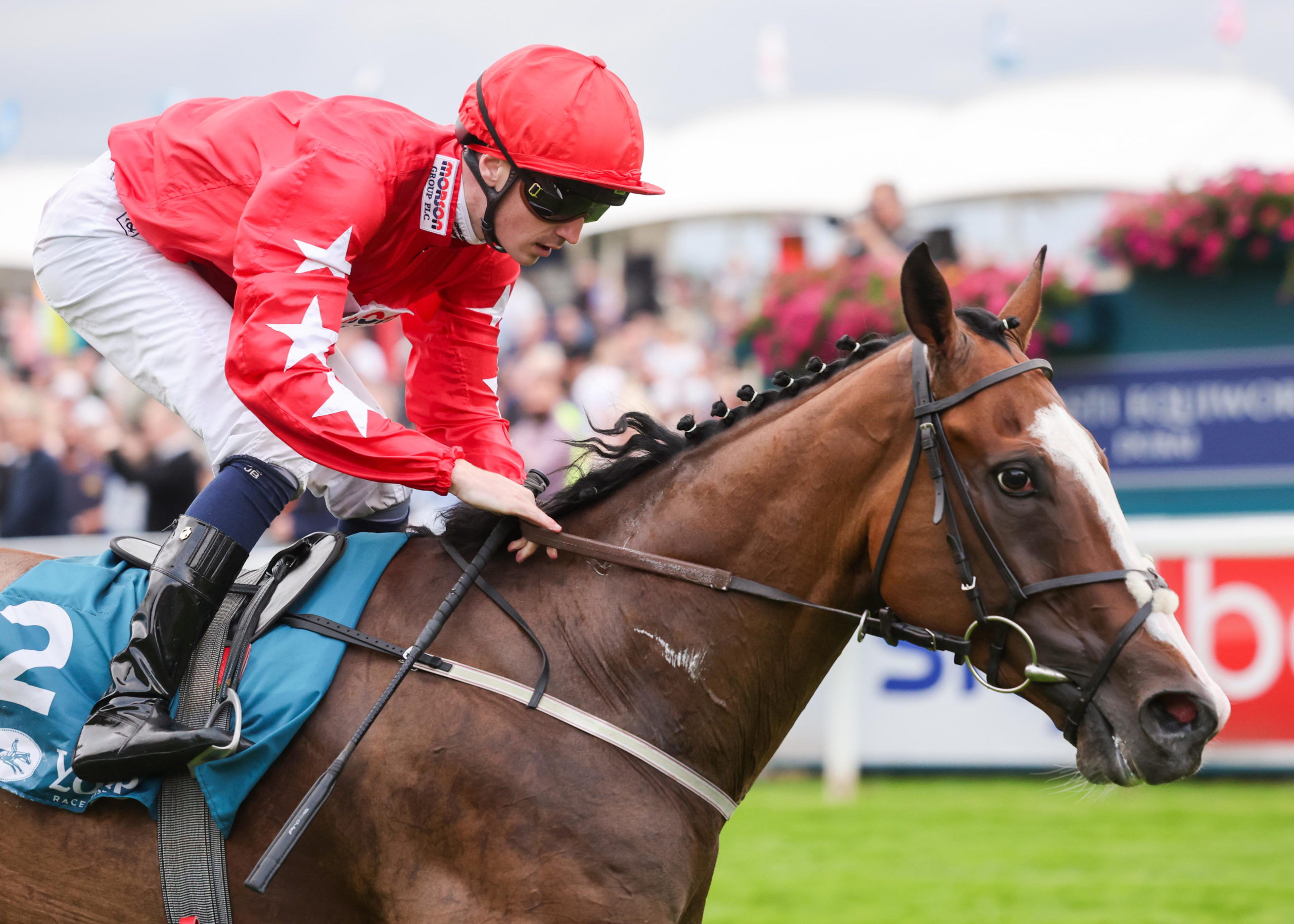 'My best day in racing' - Stallions