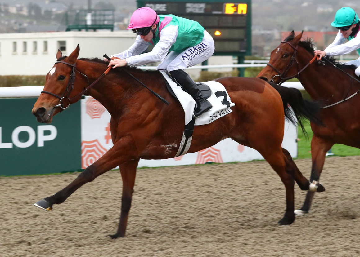 40th stakes winner this year for Frankel - Stallions