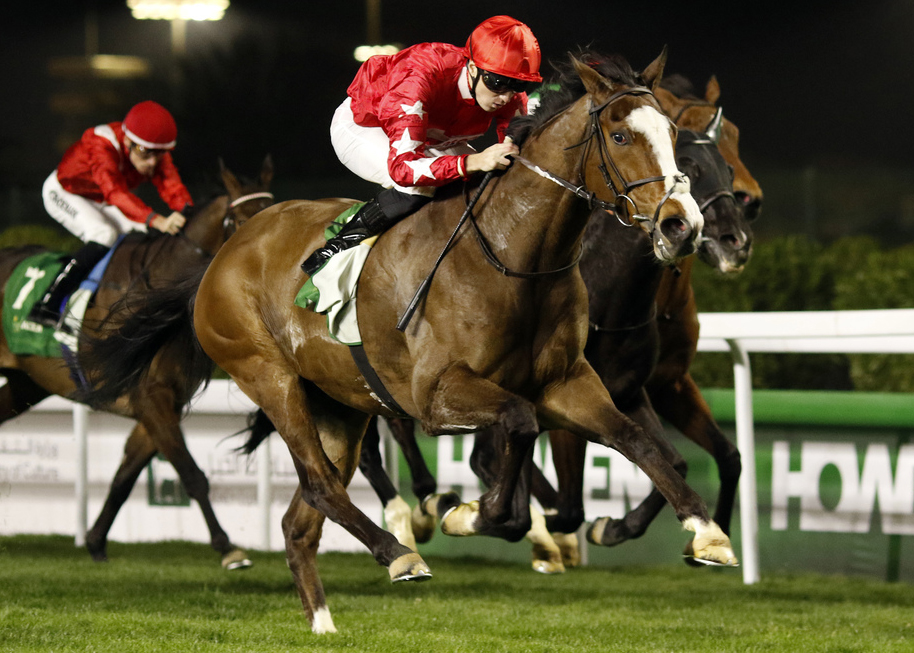 Three Group winners in two days for Frankel - Stallions